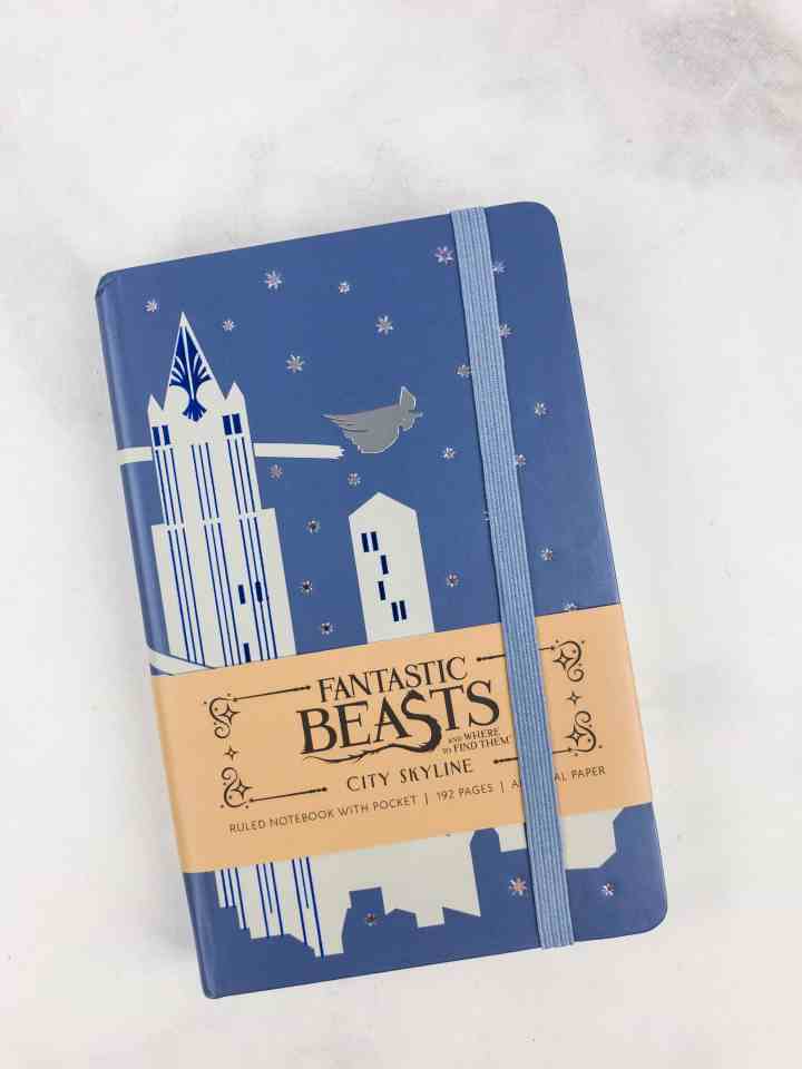 ThinkGeek Capsule August 2017 Subscription Box Review - hello subscription