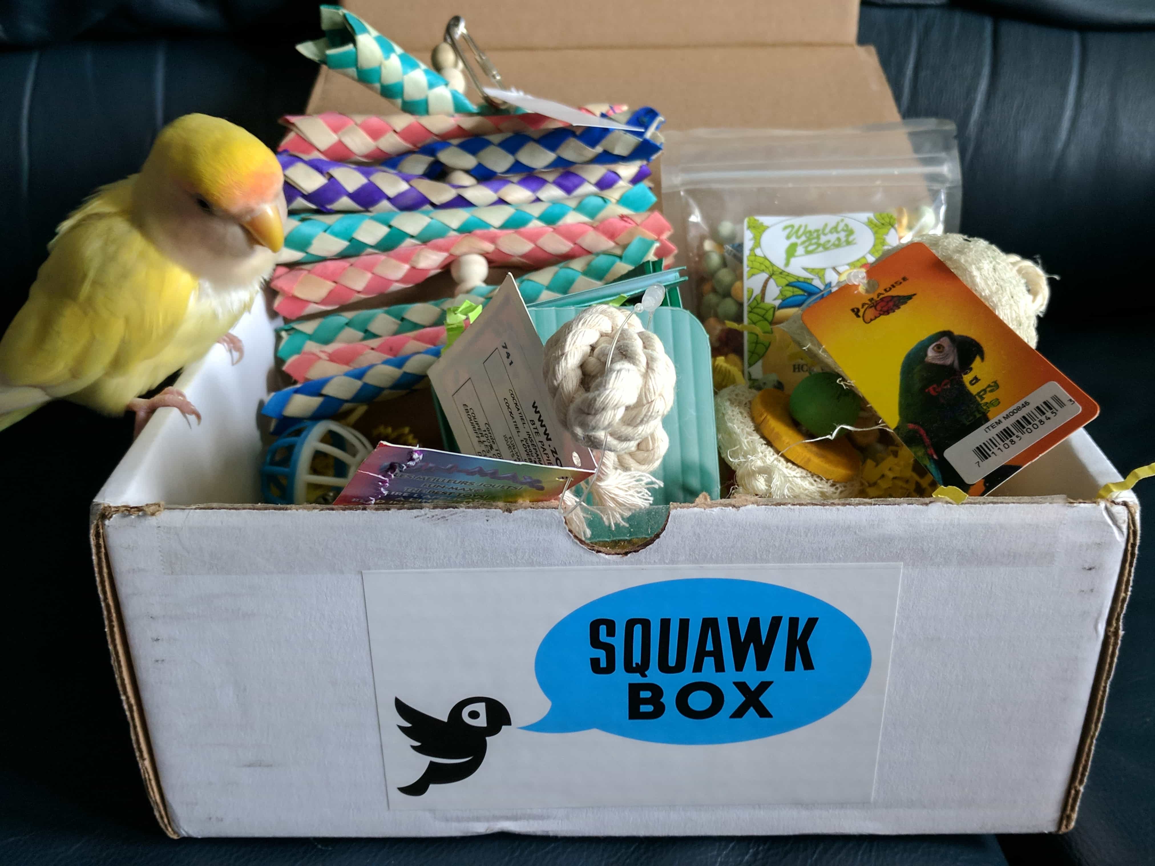 Squawk Box Review - September 2017 - Hello Subscription