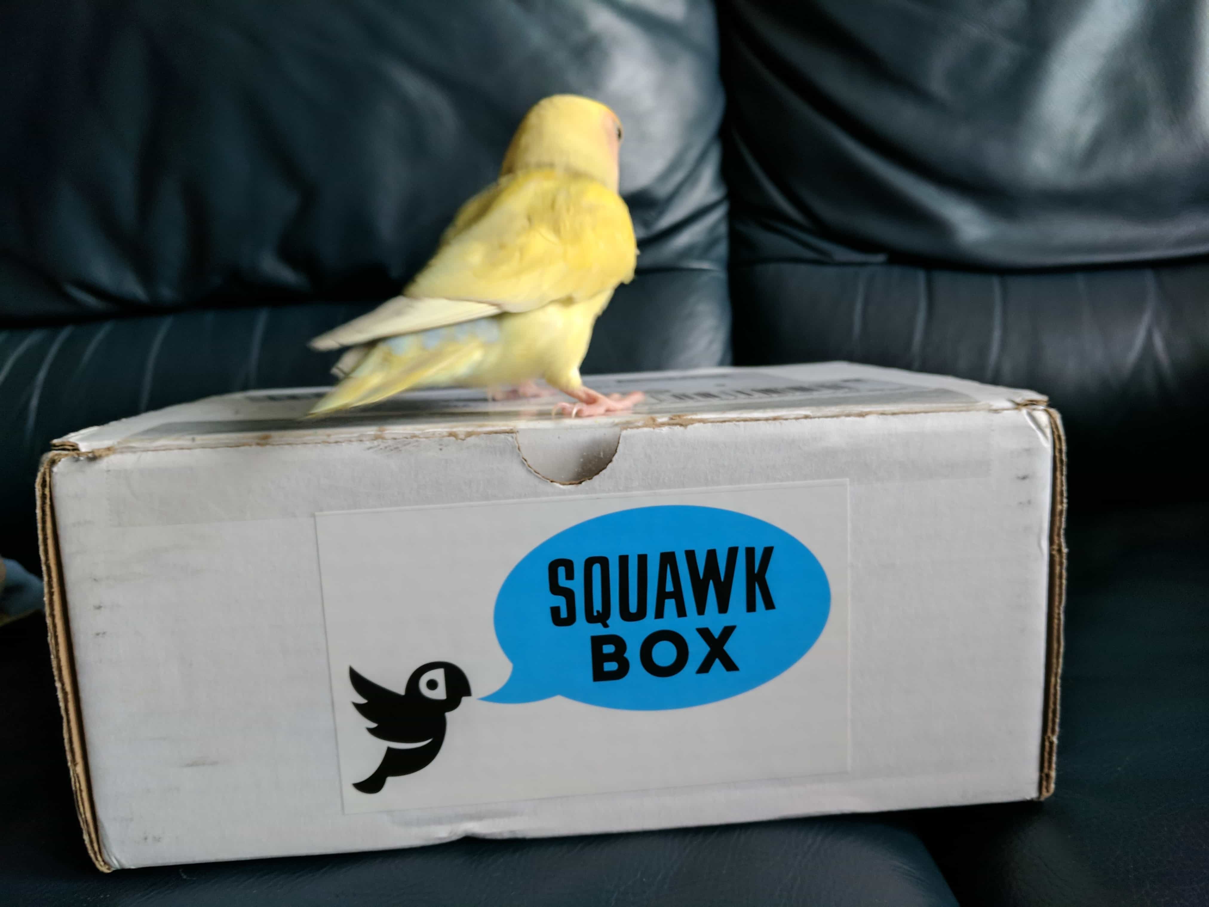 Squawk Box Review - September 2017 - Hello Subscription