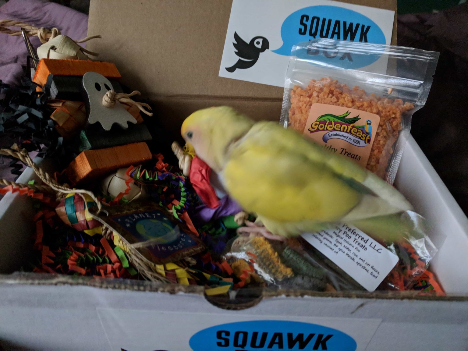 Squawk Box Subscription Review - October 2017 - Hello Subscription
