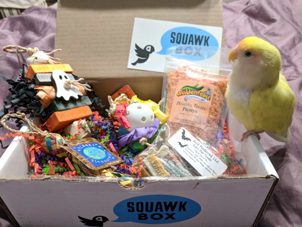 Squawk Box Subscription Review - October 2017 - Hello Subscription