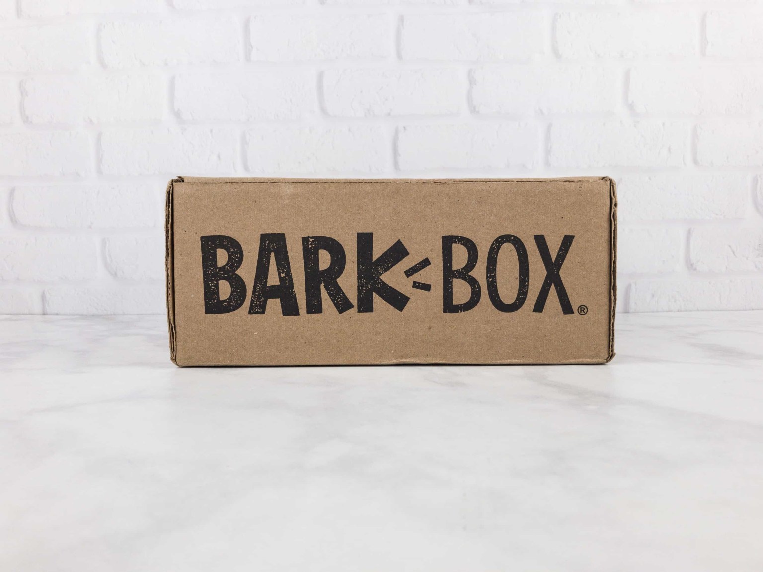 Barkbox October 2017 Subscription Box Review + Coupon - Hello Subscription