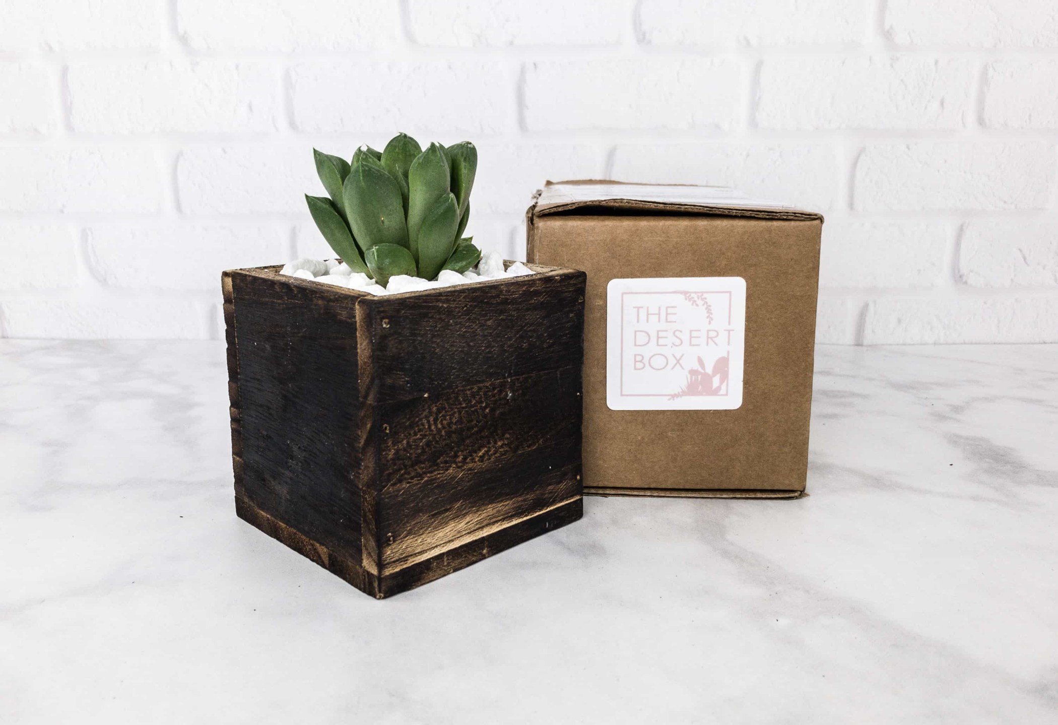 The Desert Box Reviews: Get All The Details At Hello Subscription!