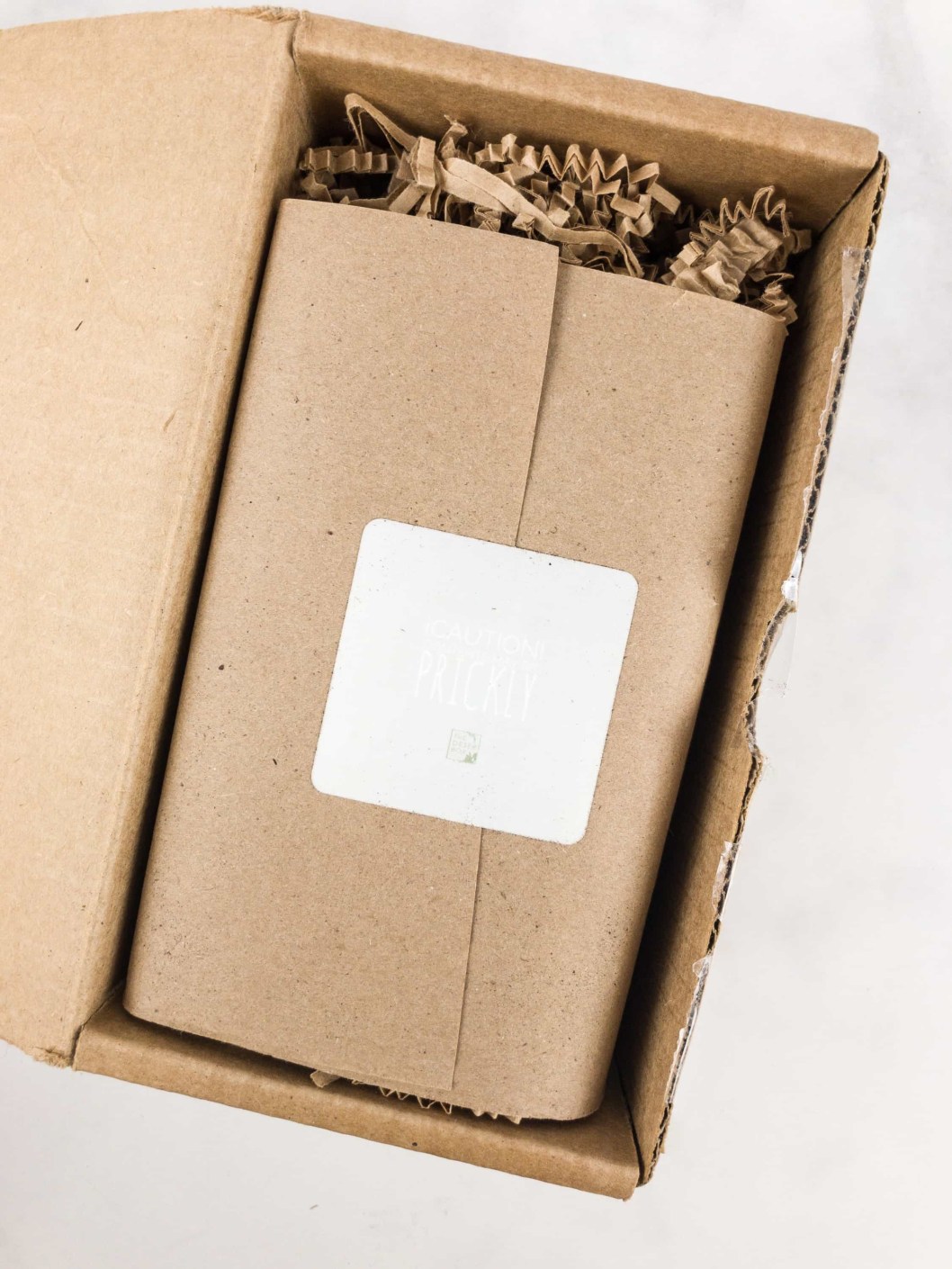 The Desert Box October 2017 Subscription Box Review - Hello Subscription