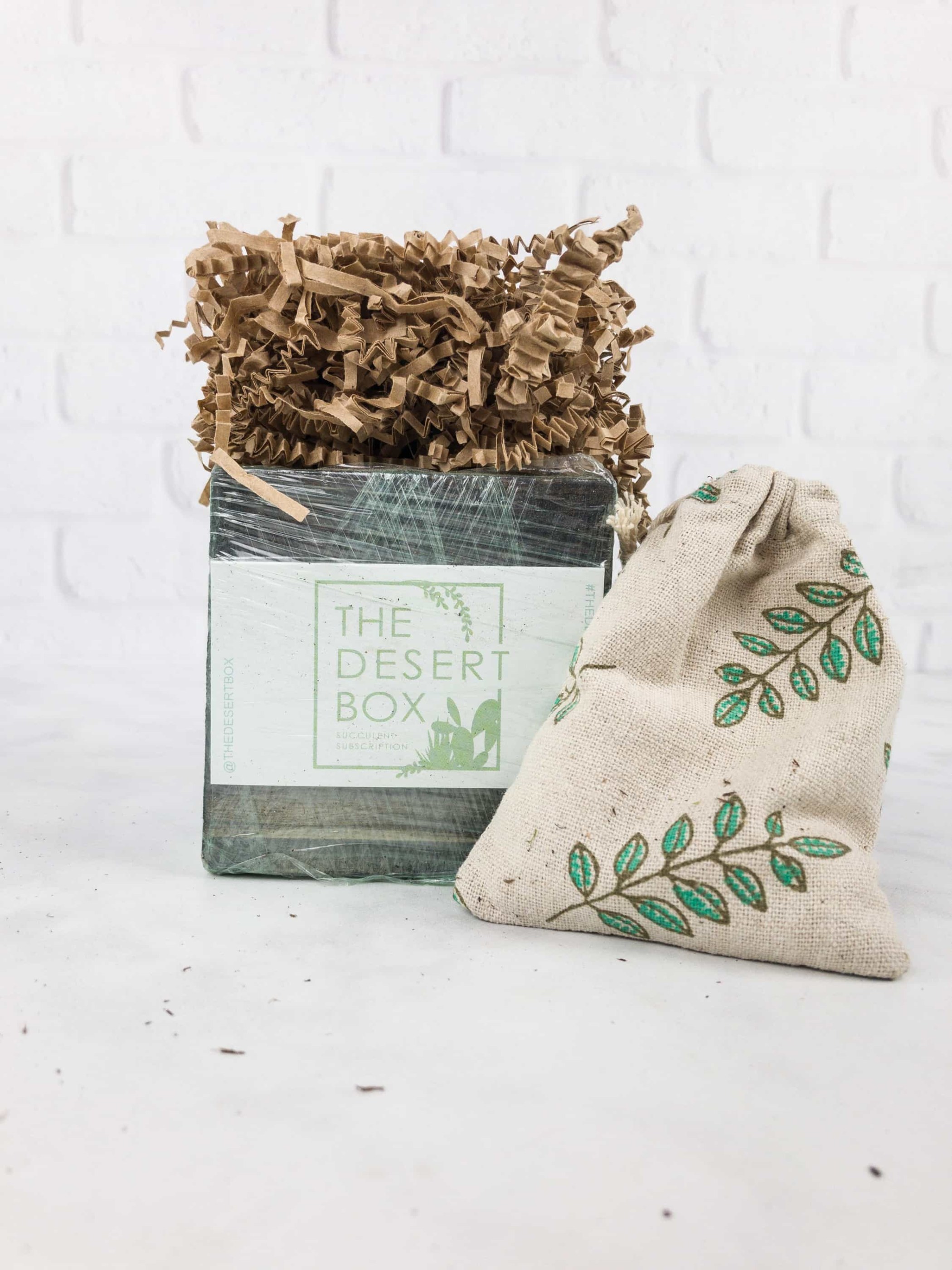 The Desert Box October 2017 Subscription Box Review - Hello Subscription