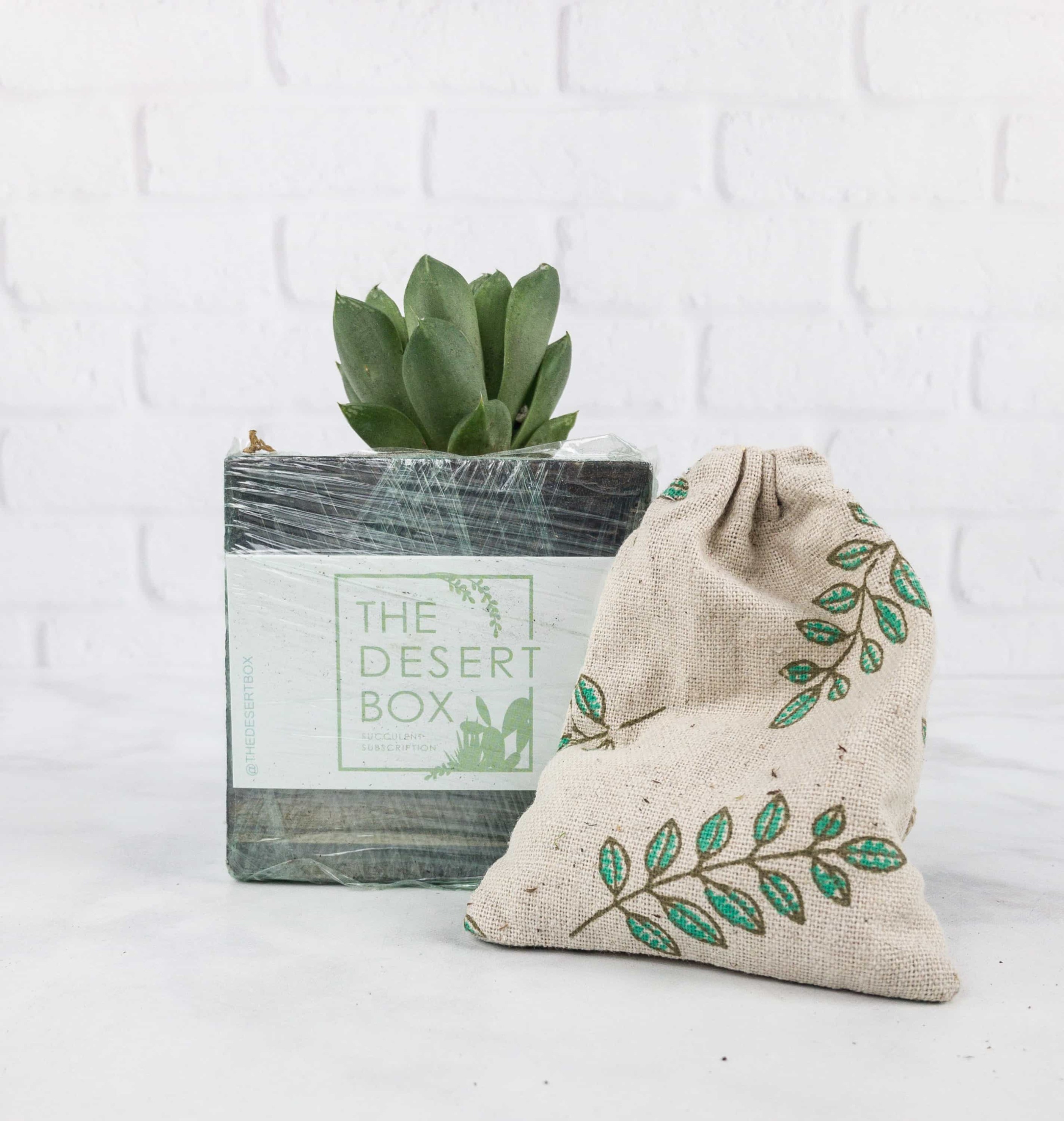 The Desert Box October 2017 Subscription Box Review - Hello Subscription