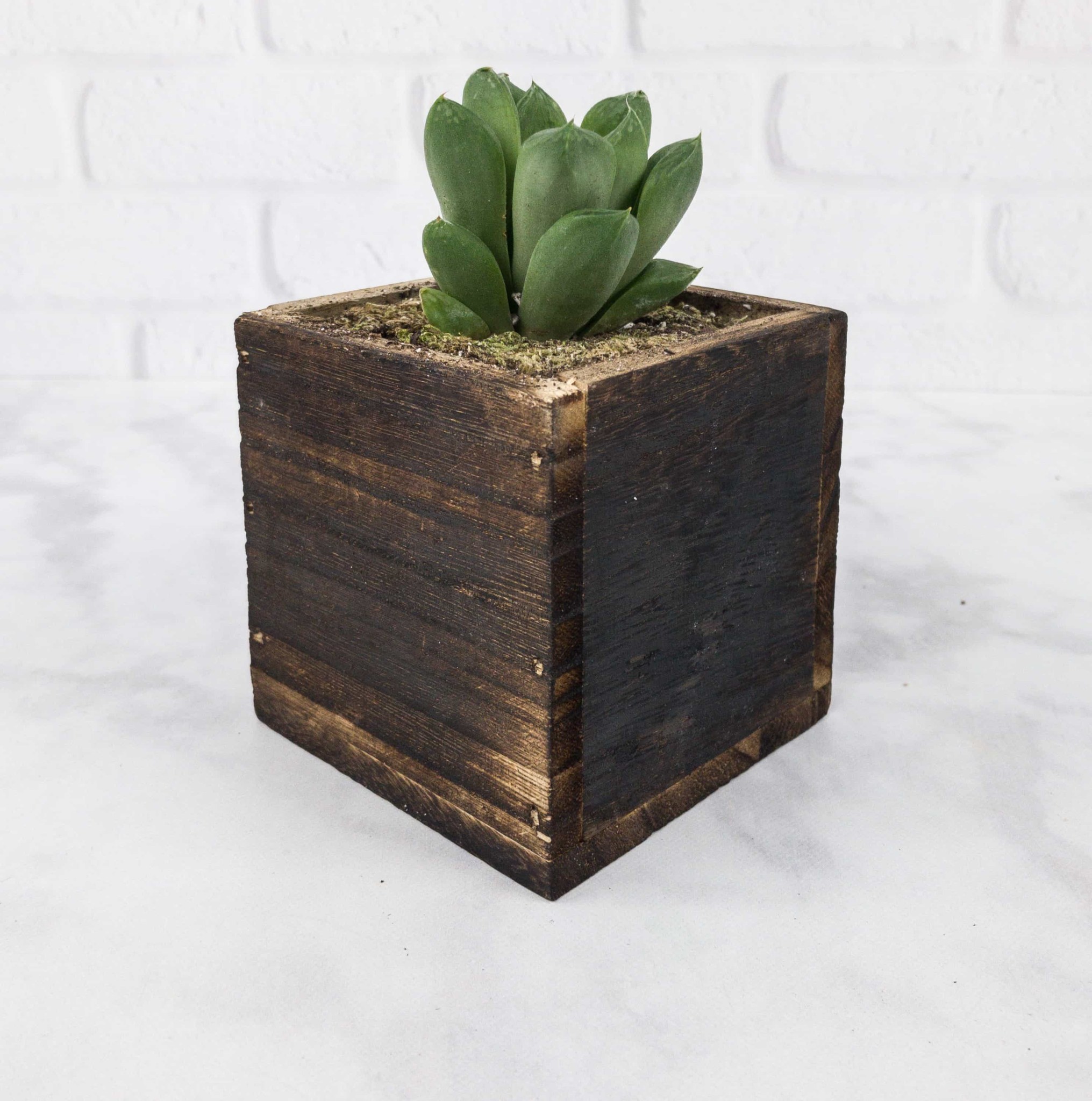 The Desert Box October 2017 Subscription Box Review - Hello Subscription