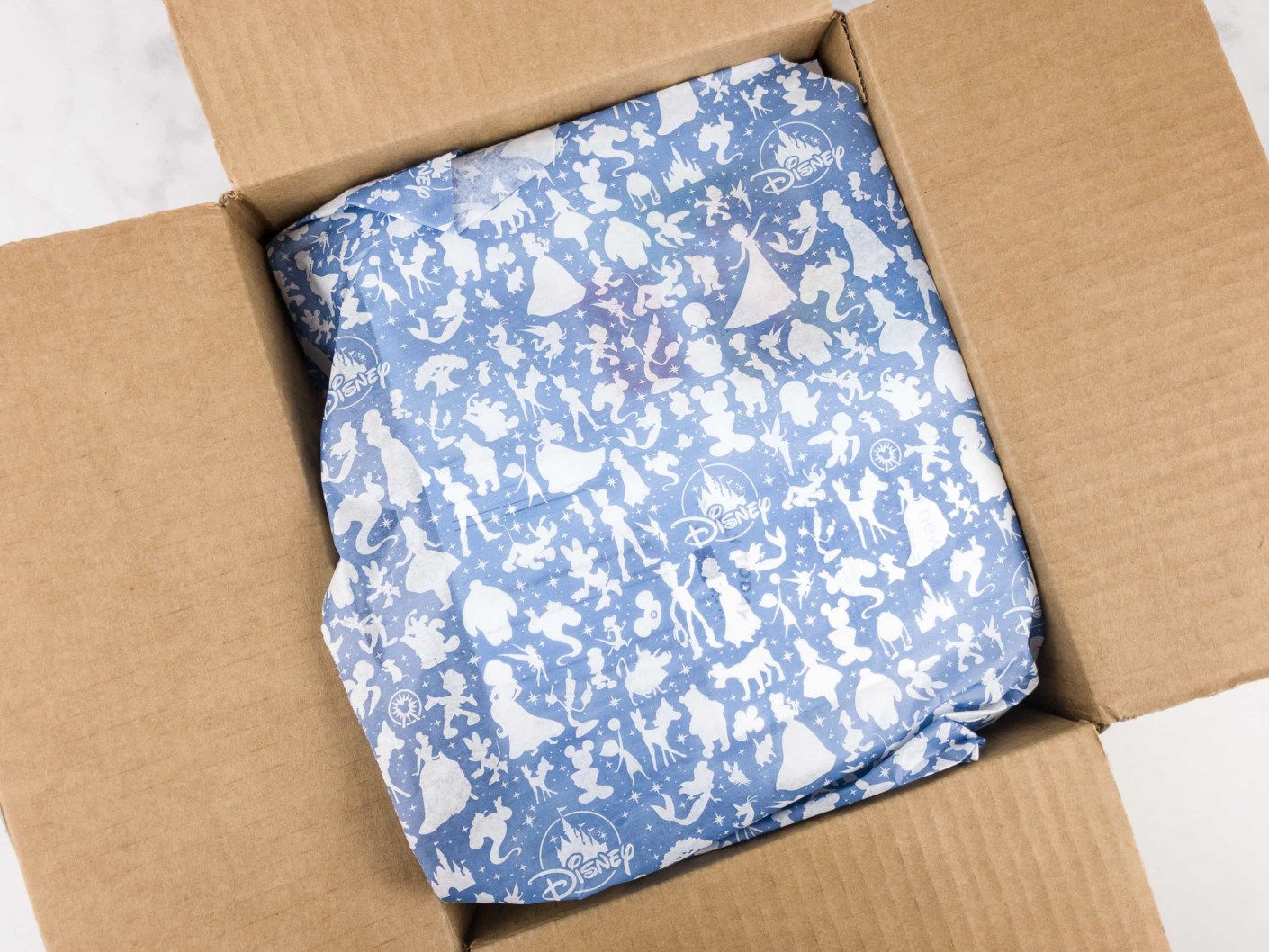 Disney Store 30th Anniversary Snowglobe Ornament Subscription October ...