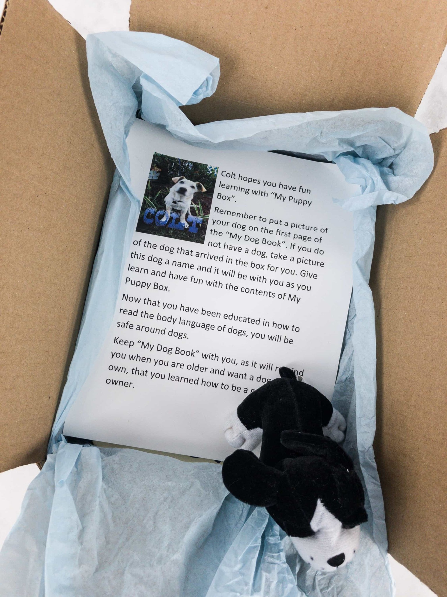 My Puppy Box Subscription Box Review - Regular Box - Hello Subscription