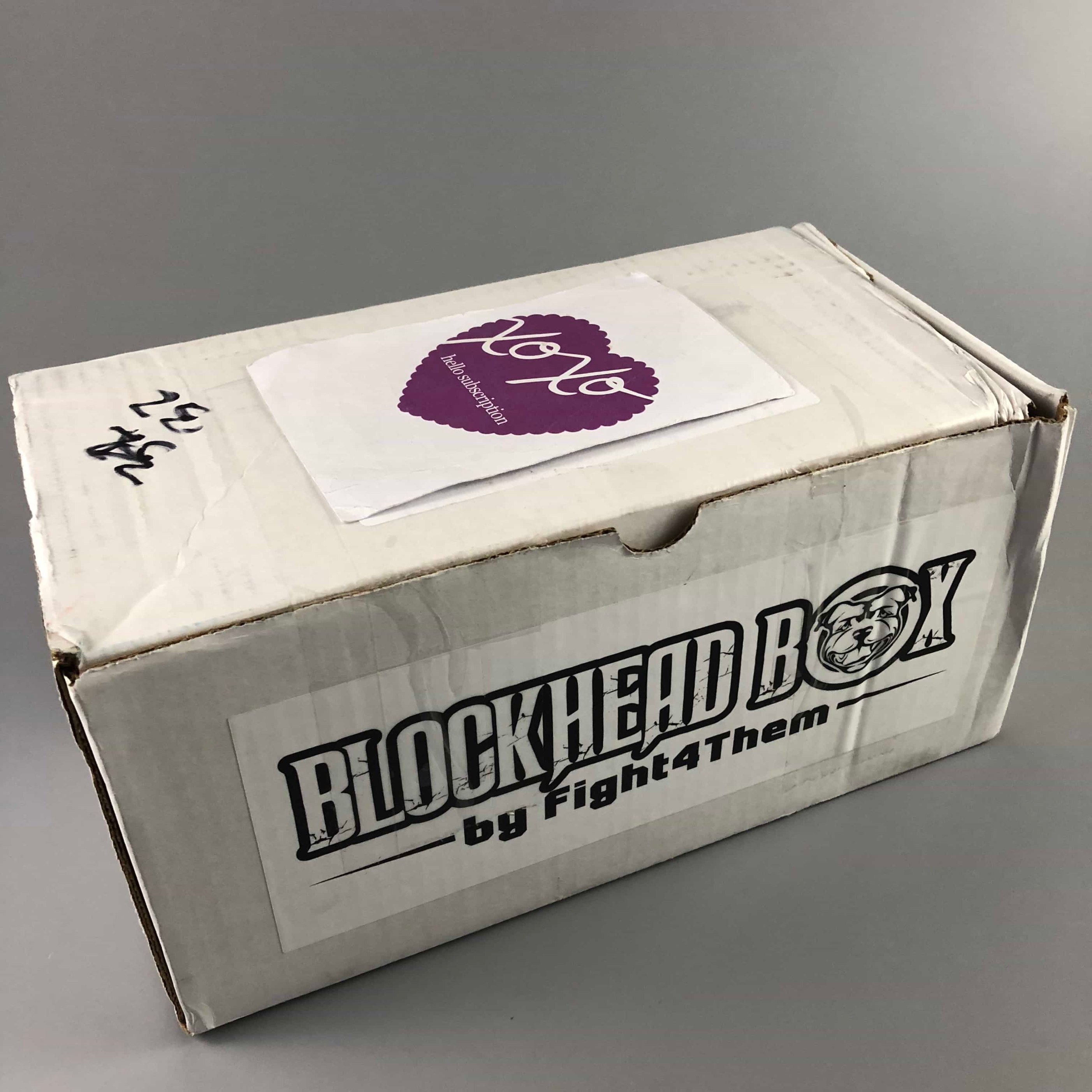 Blockhead Box October 2017 Subscription Box Review + Coupon - Hello ...