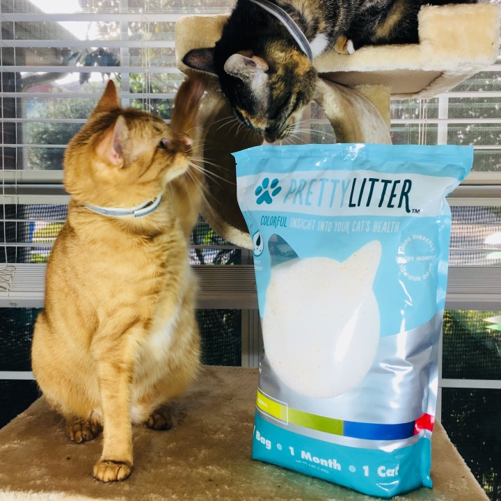 PrettyLitter Subscription Box Review + Coupon - hello subscription