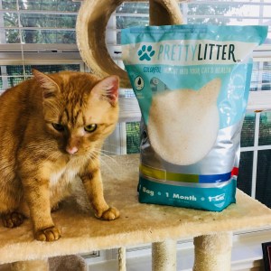 PrettyLitter Subscription Box Review + Coupon - hello subscription