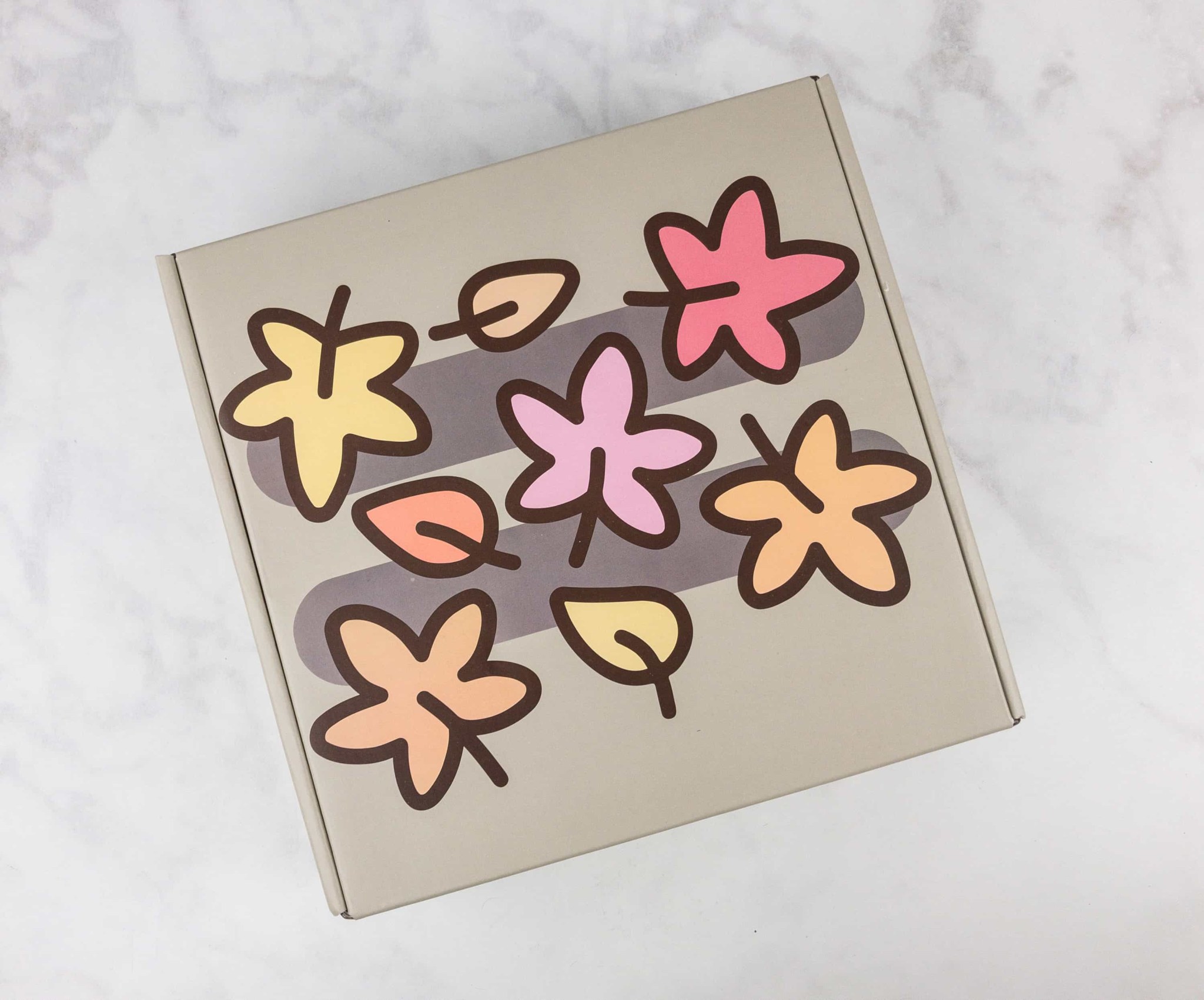 Pusheen Box Fall 2017 Subscription Box Review - Hello Subscription