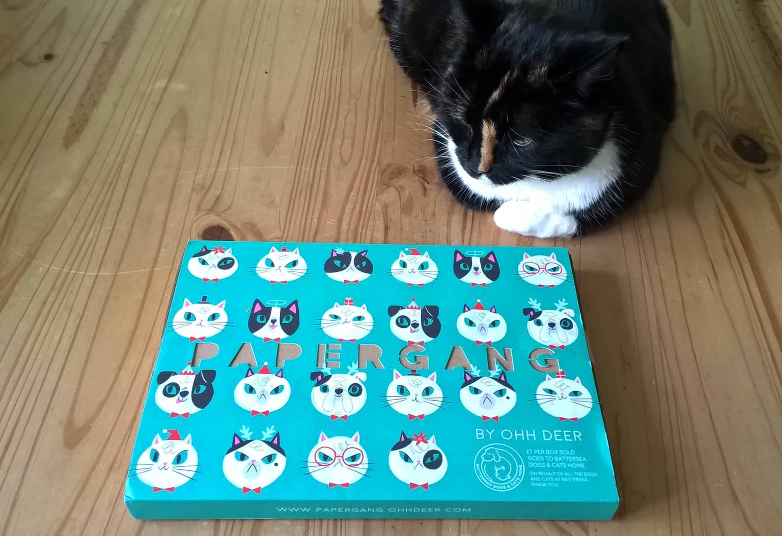 Papergang November 2017 Subscription Box Review + Coupon! - Hello ...