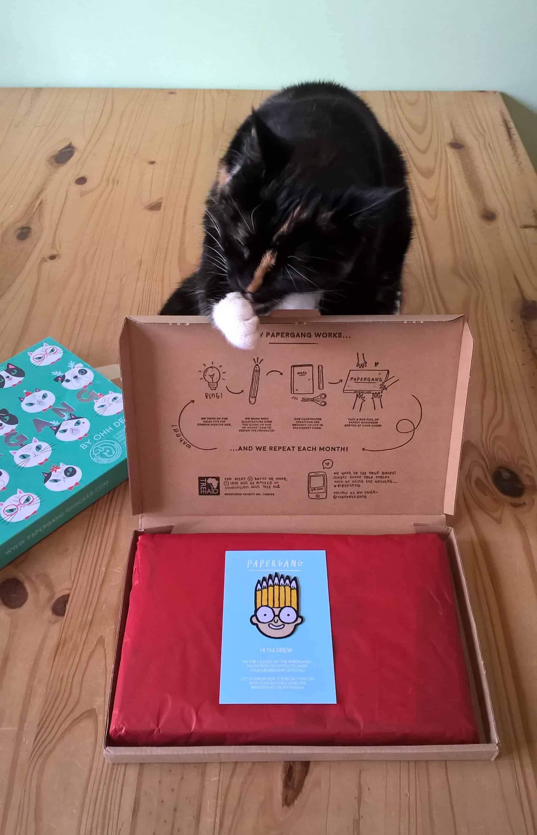 Papergang November 2017 Subscription Box Review + Coupon! - Hello ...