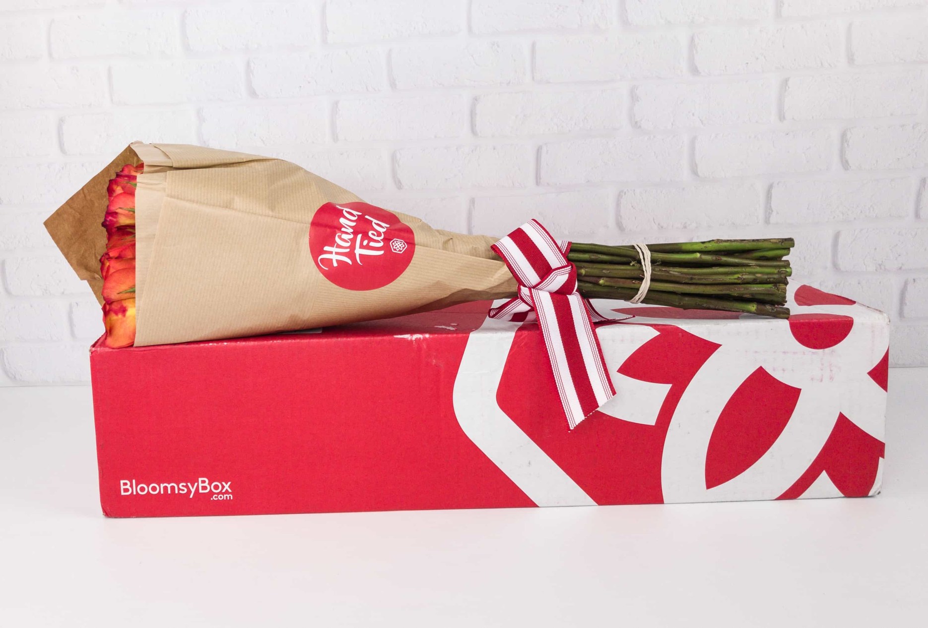 BloomsyBox Flower November 2017 Subscription Box Review & Coupon ...