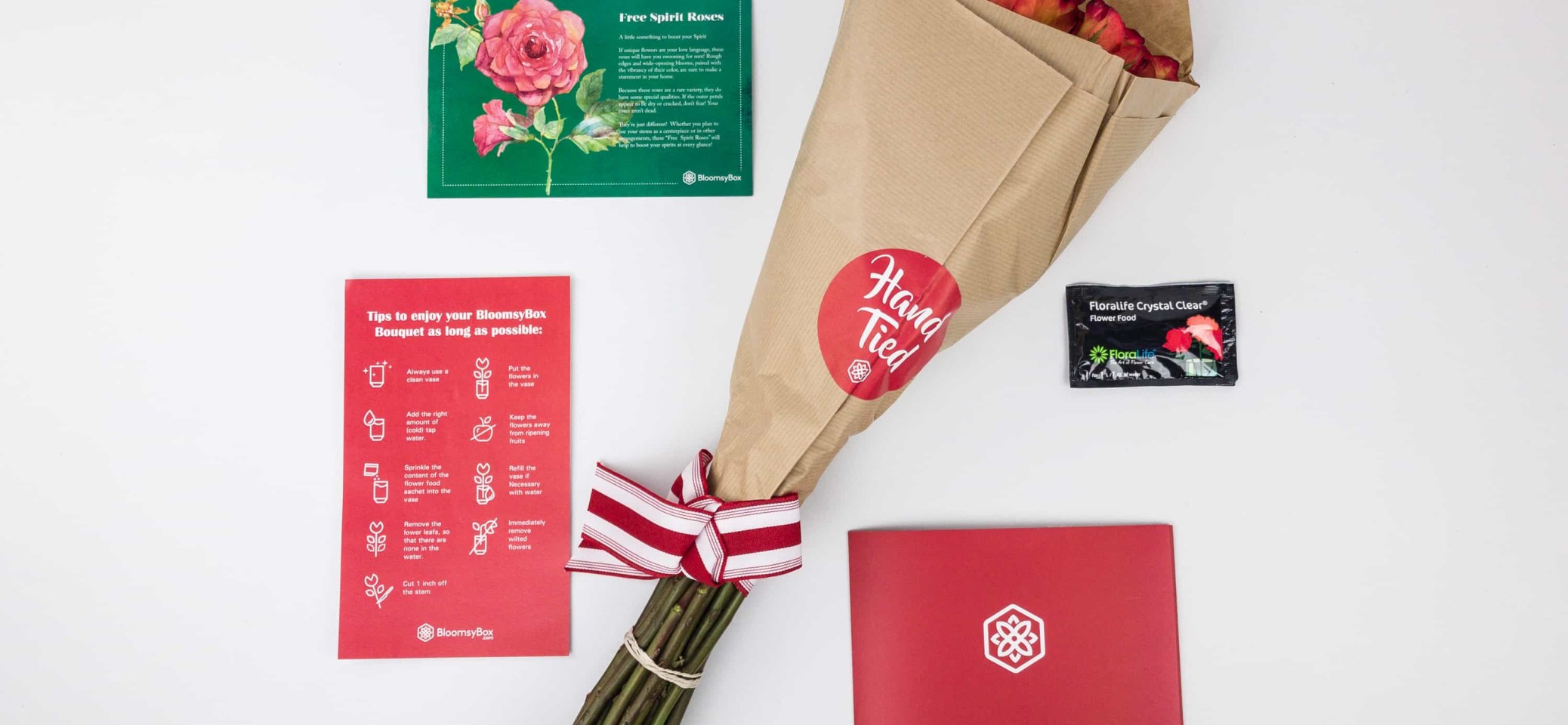 BloomsyBox Reviews - Hello Subscription