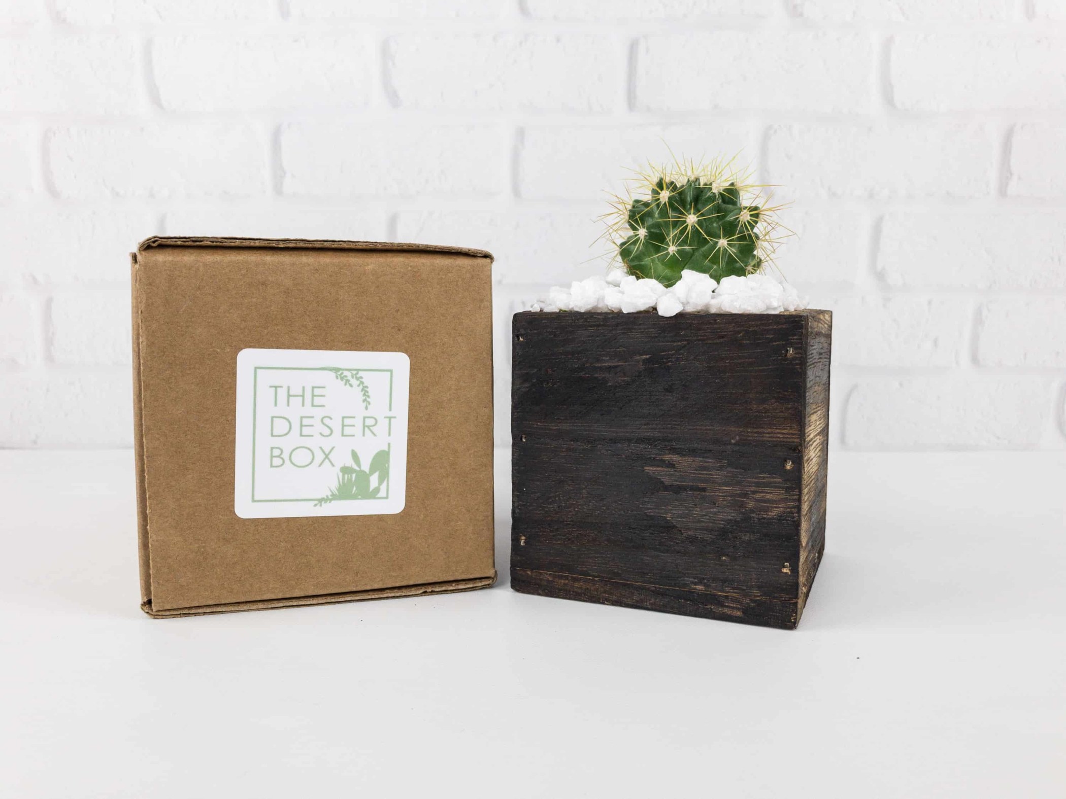 The Desert Box Reviews: Get All The Details At Hello Subscription!