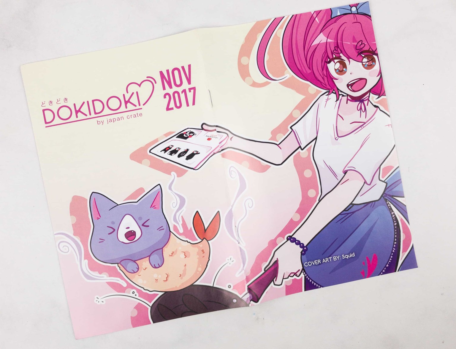 Doki Doki November 2017 Subscription Box Review & Coupon - Hello ...
