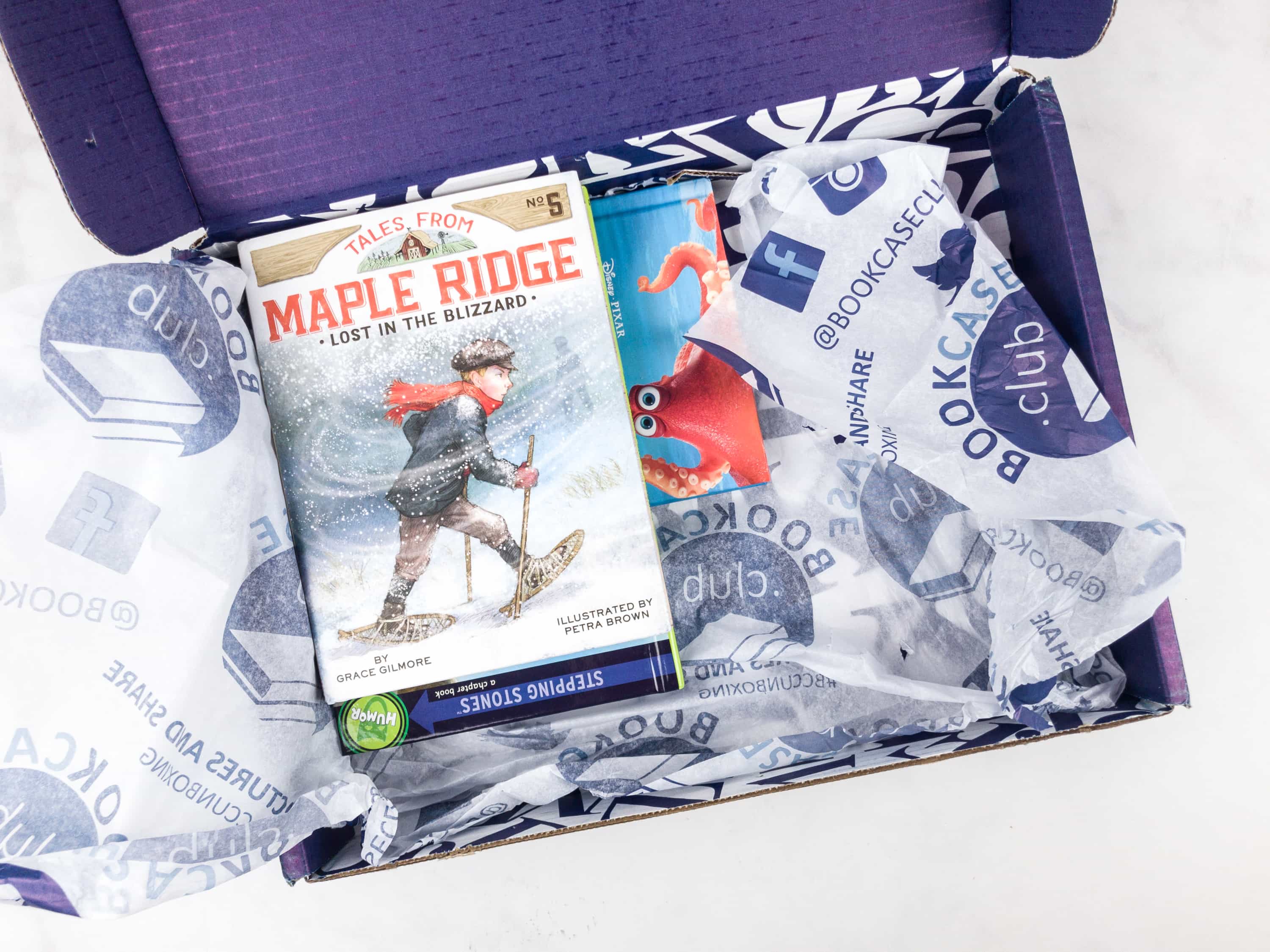 Kids BookCase Club November 2017 Subscription Box Review - Hello ...