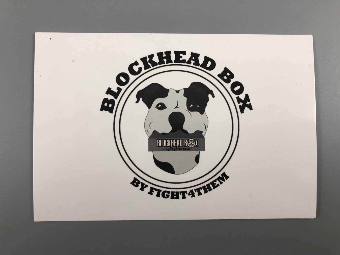 Blockhead Box December 2017 Subscription Box Review + Coupon - Hello ...