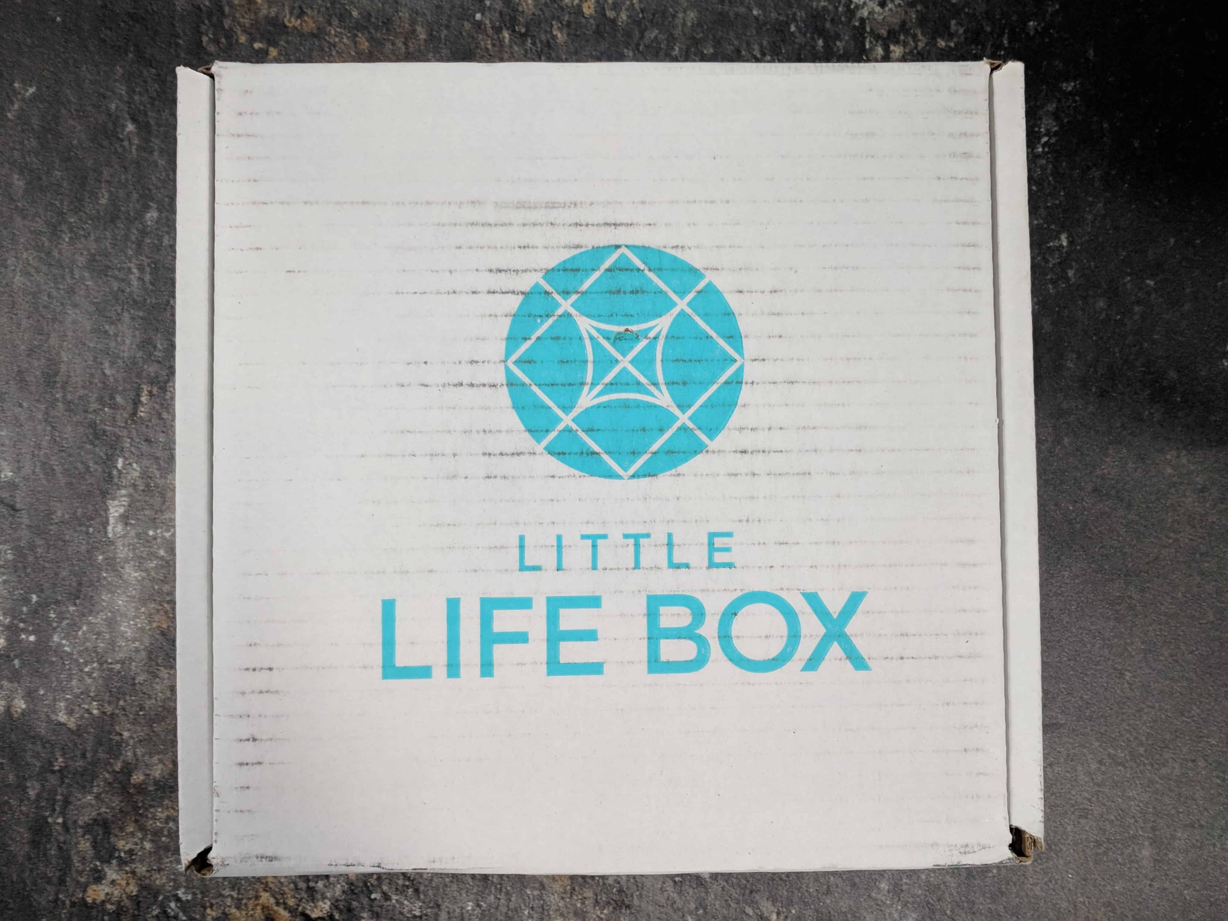 Little Life Box Subscription Box Review + Coupon - December 2017 ...