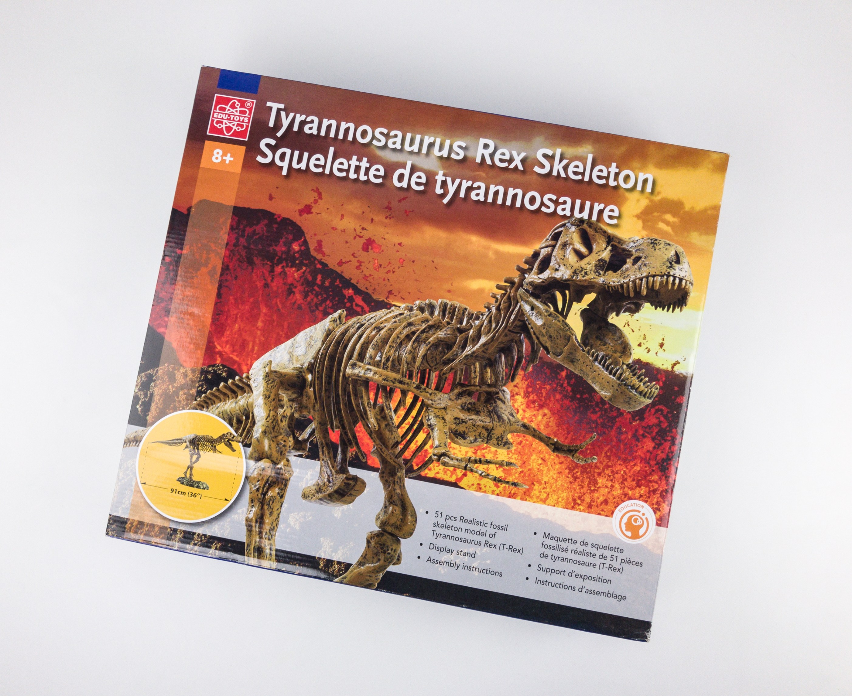 Amazon STEM Toy Club December 2017 Subscription Box Review - 8 to 13 ...