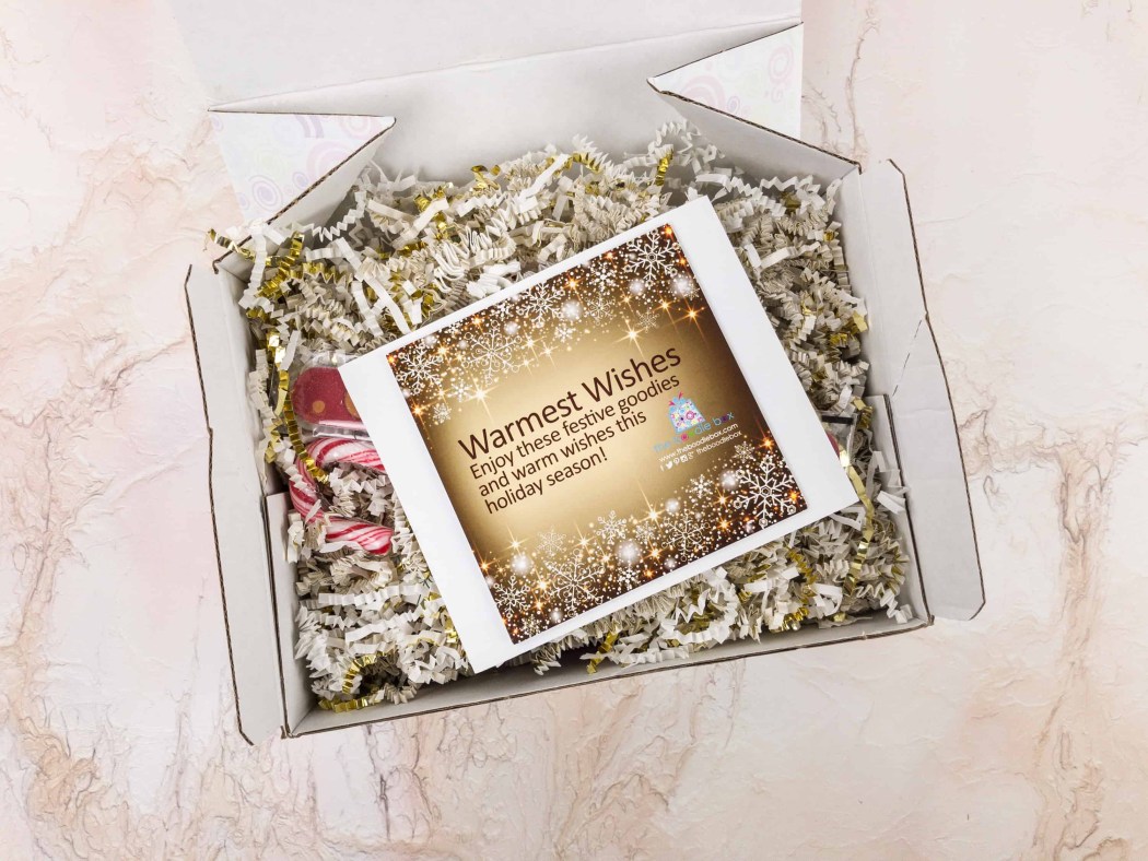 Boodle Box December 2017 Subscription Box Review - Tweens - Hello ...