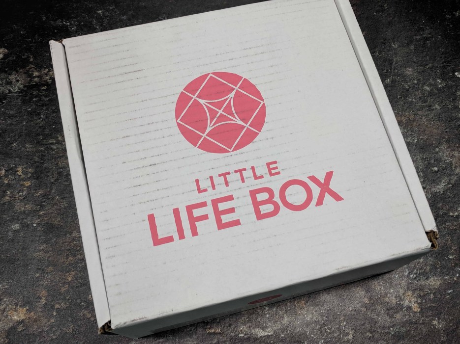 Little Life Box Subscription Box Review + Coupon - Janvier 2018 - Hello ...