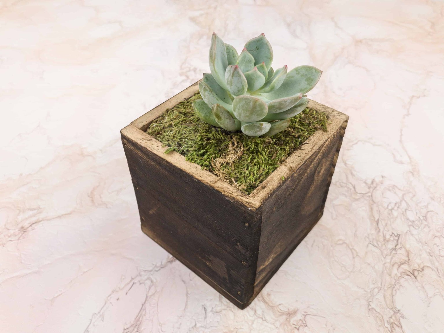 The Desert Box December 2017 Subscription Box Review - Hello Subscription