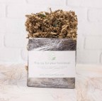 The Desert Box January 2018 Subscription Box Review - Hello Subscription