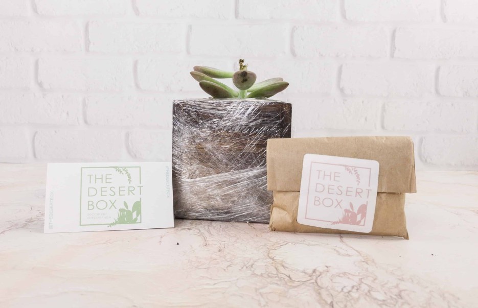 The Desert Box January 2018 Subscription Box Review - Hello Subscription