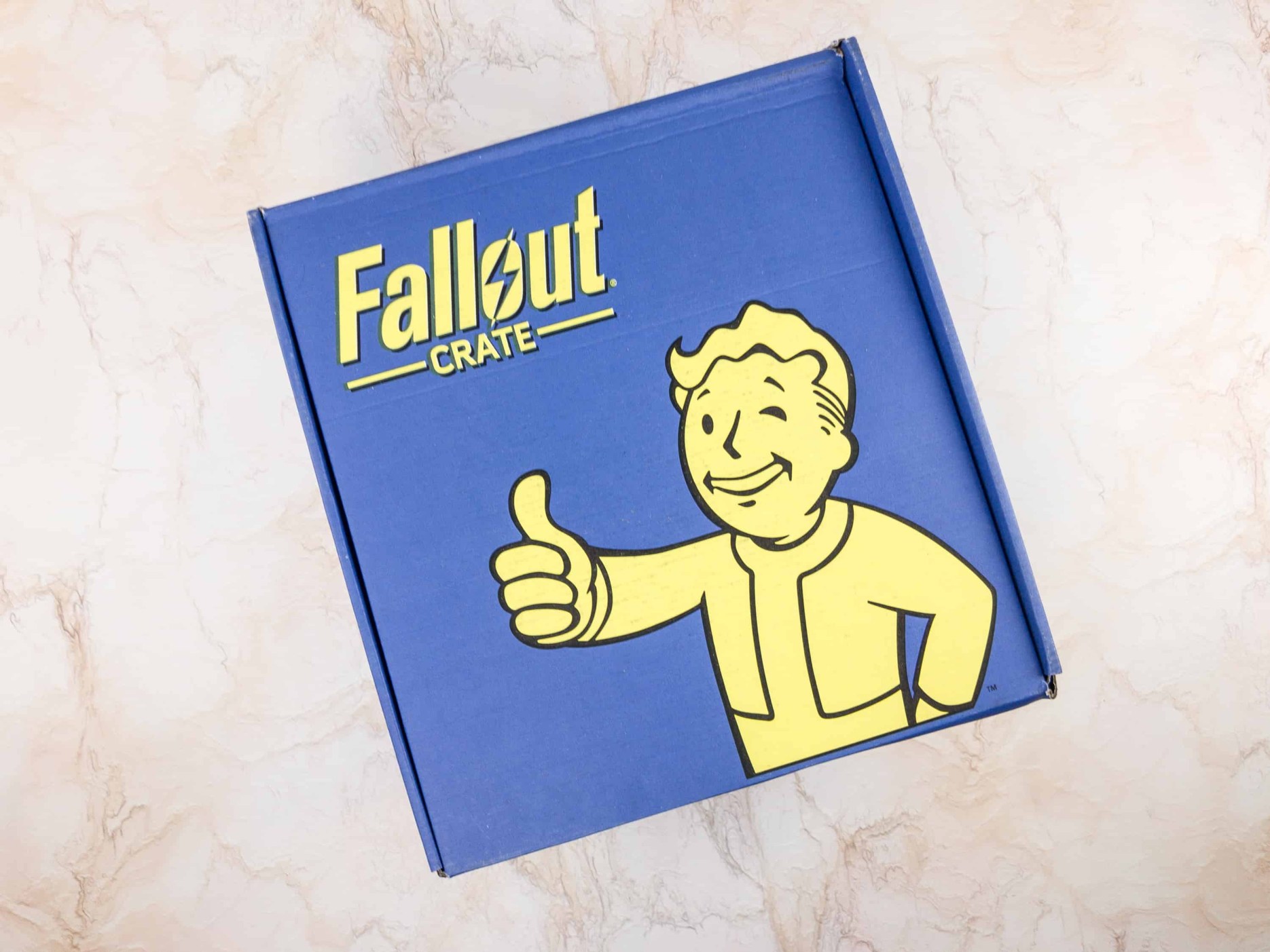 Loot Crate Fallout Crate December 2017 Review + Coupon - Hello Subscription