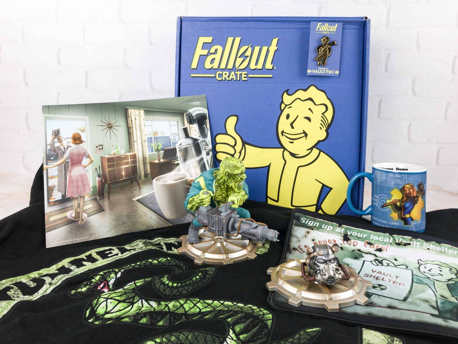 Loot Crate Fallout Crate December 2017 Review + Coupon - Hello Subscription