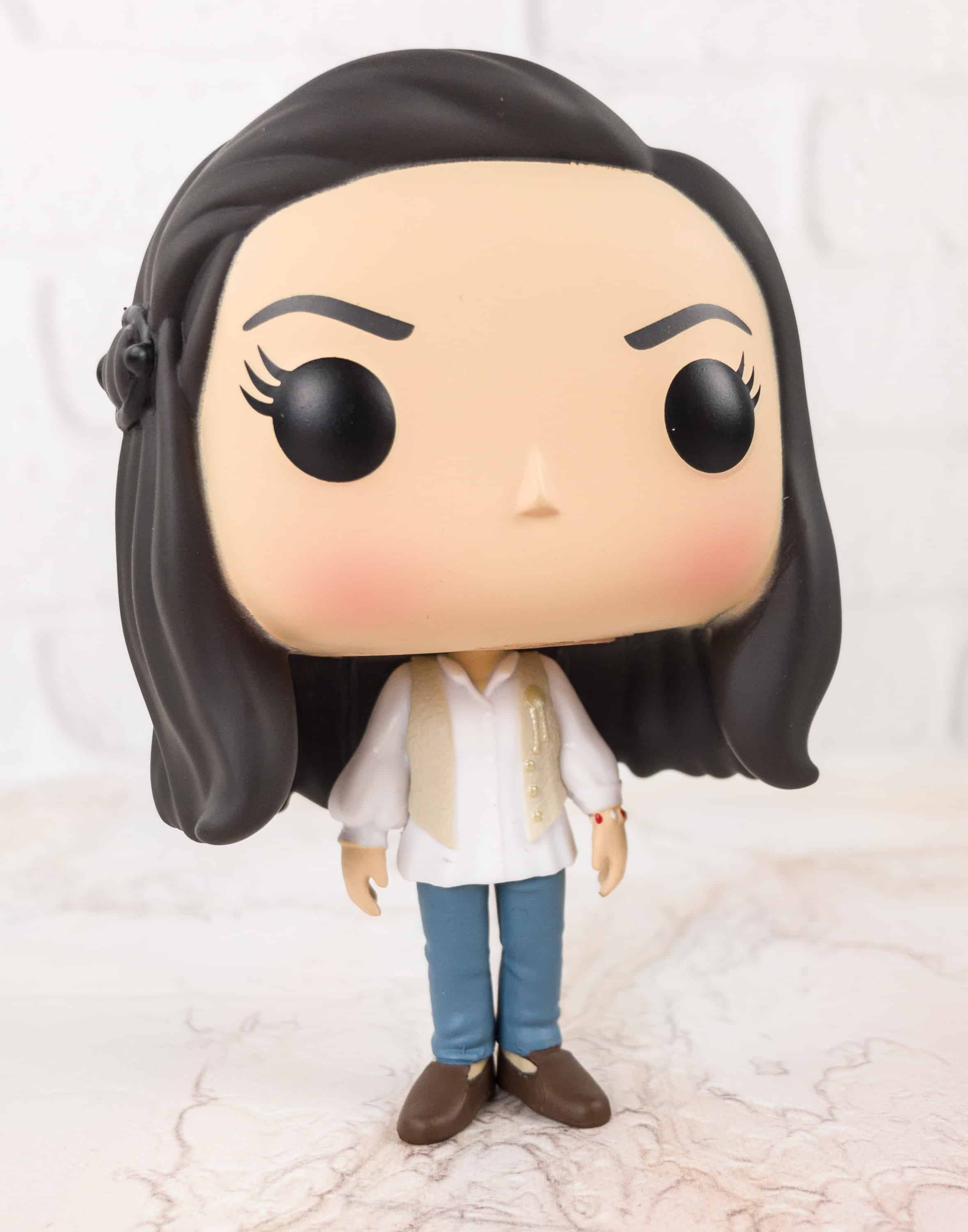 Pop In A Box January 2018 Funko Subscription Box Review & Coupon ...