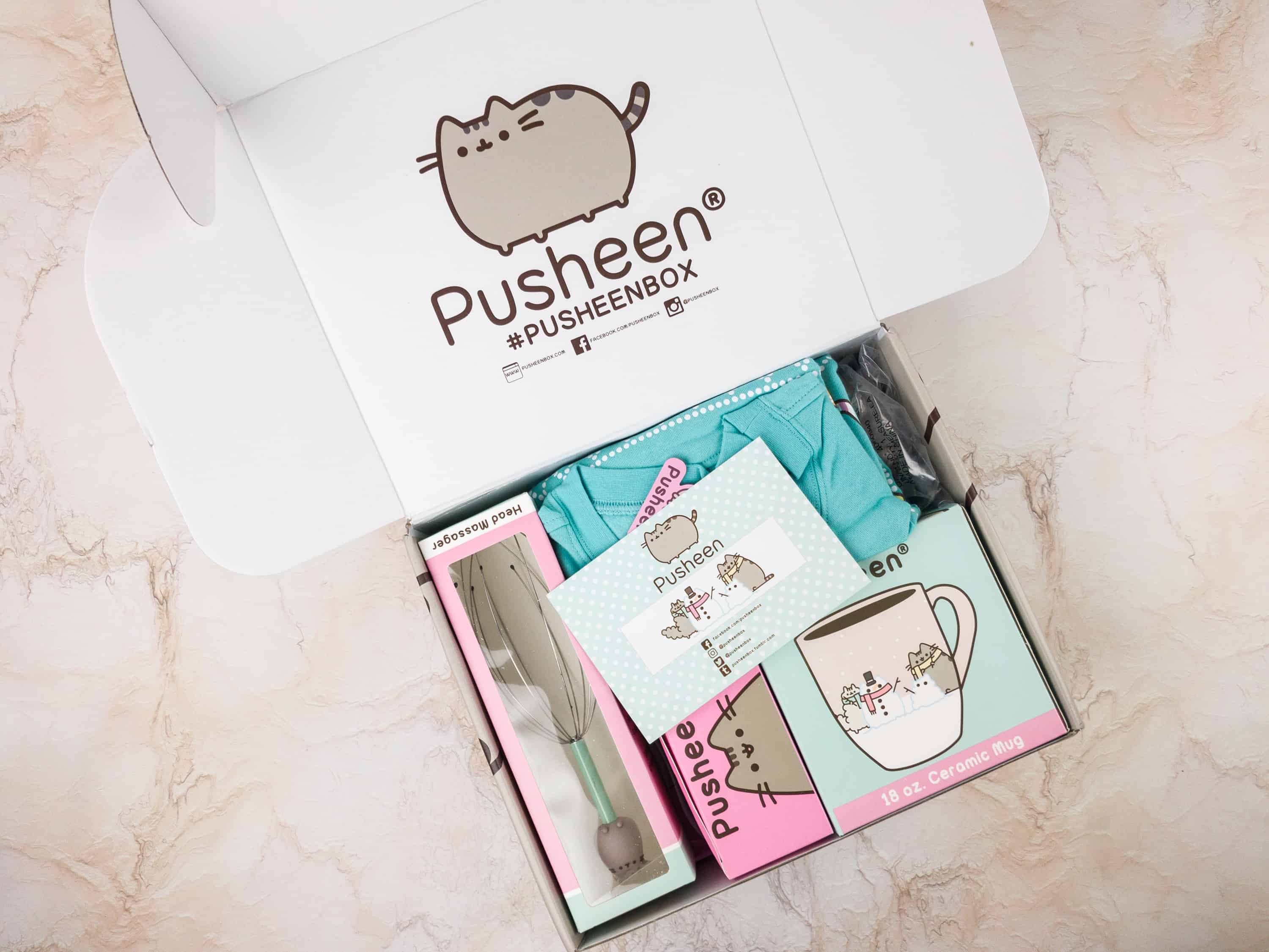 Pusheen Box Winter 2017 Subscription Box Review - Hello Subscription