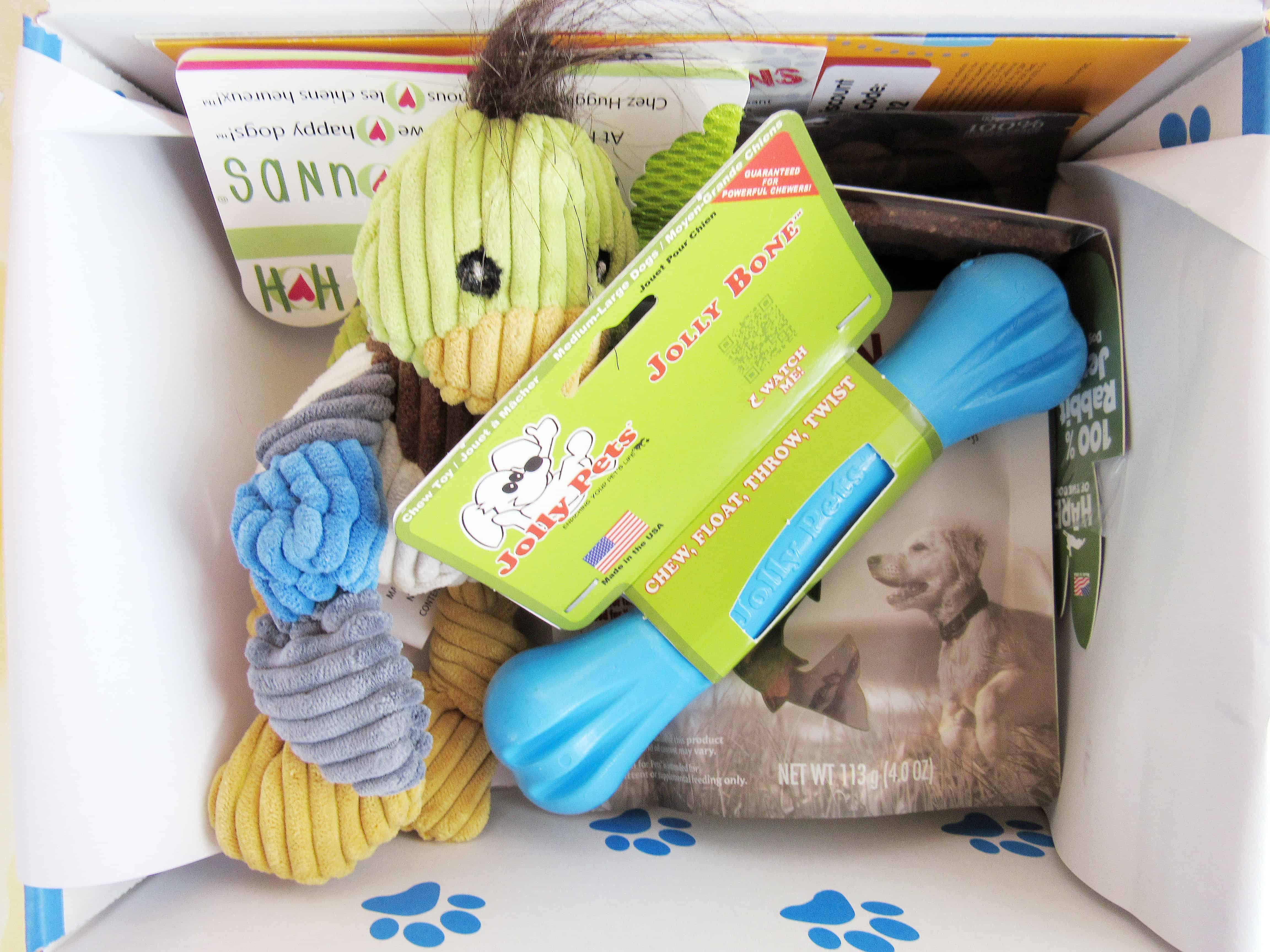 VetPet Box Dog & Puppy Welcome Box Subscription Box Review + Coupon ...