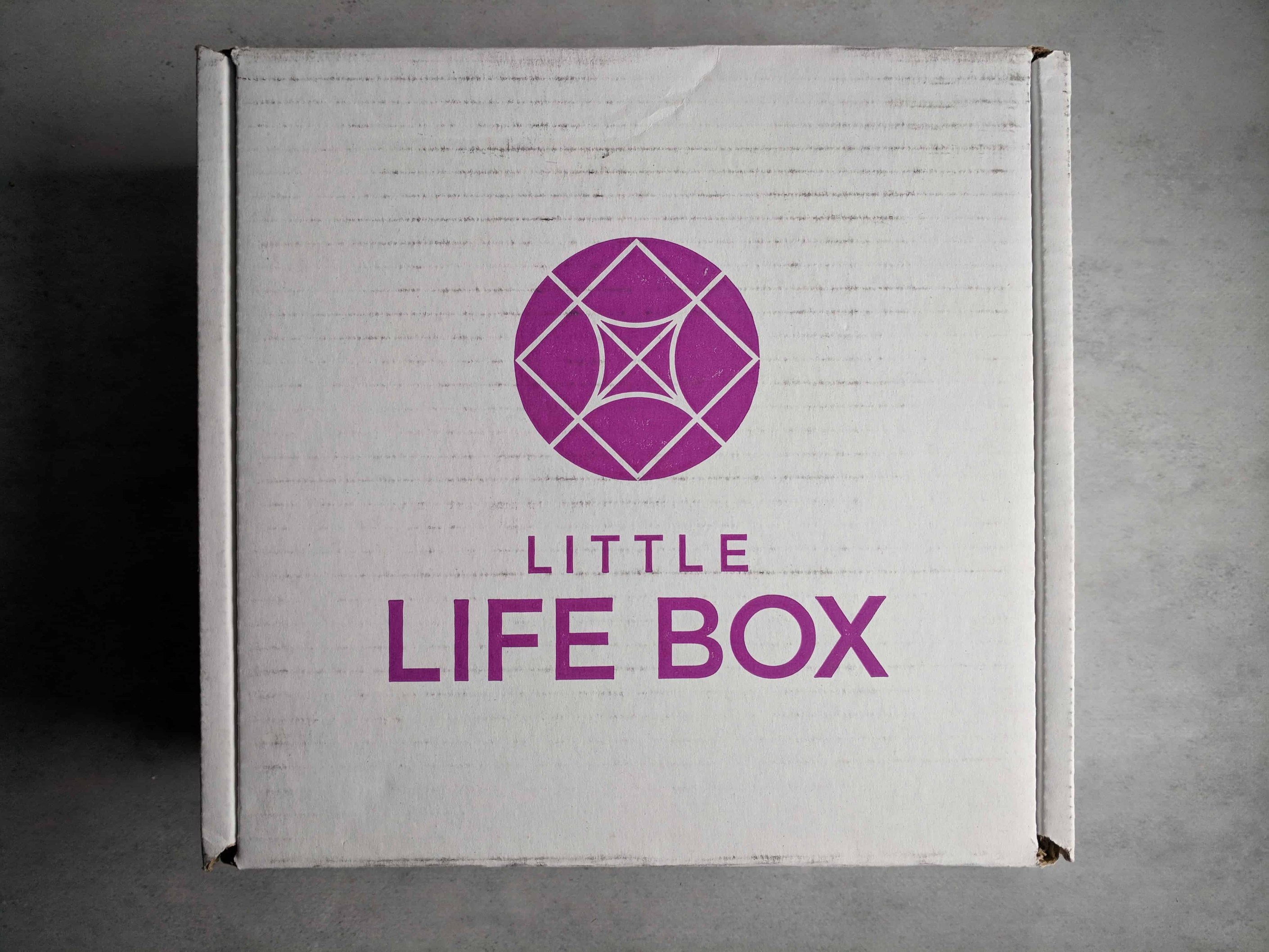 Little Life Box Subscription Box Review + Coupon - February 2018 ...