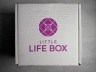 Little Life Box Subscription Box Review + Coupon - February 2018 ...
