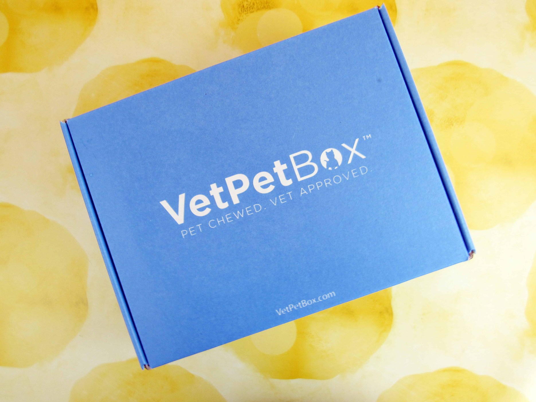 VetPet Box Cat & Kitten Welcome Box Subscription Box Review - Multiple ...