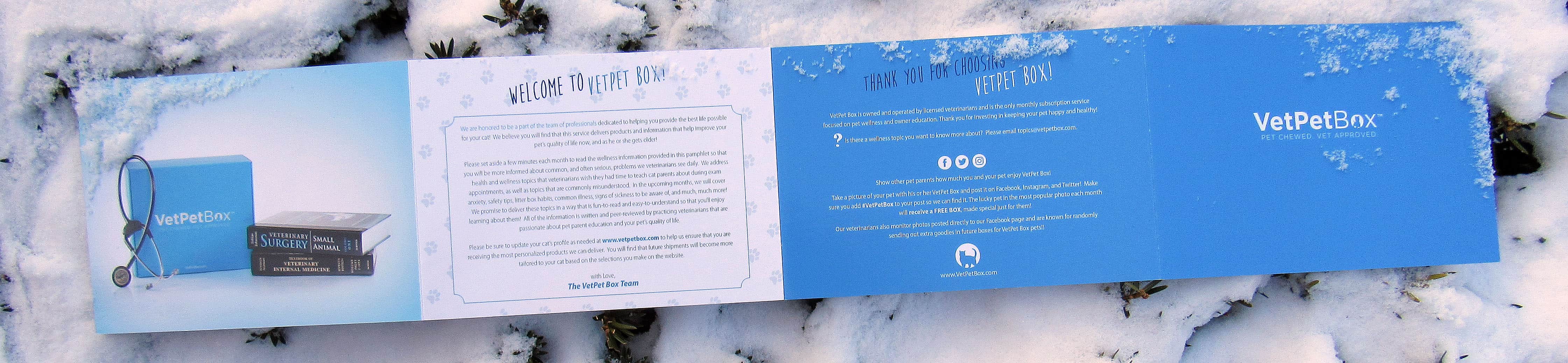 VetPet Box Cat & Kitten Welcome Box Subscription Box Review - Multiple ...