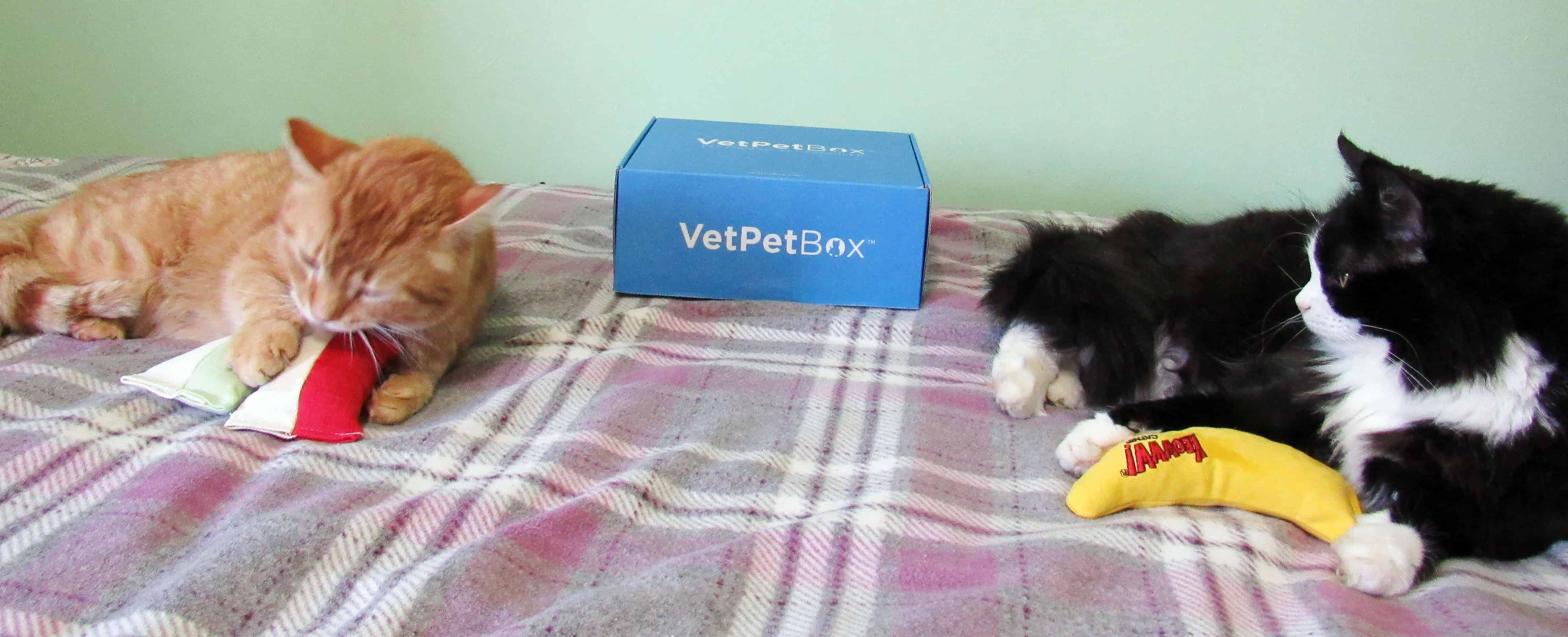 VetPet Box Cat & Kitten Welcome Box Subscription Box Review - Multiple ...