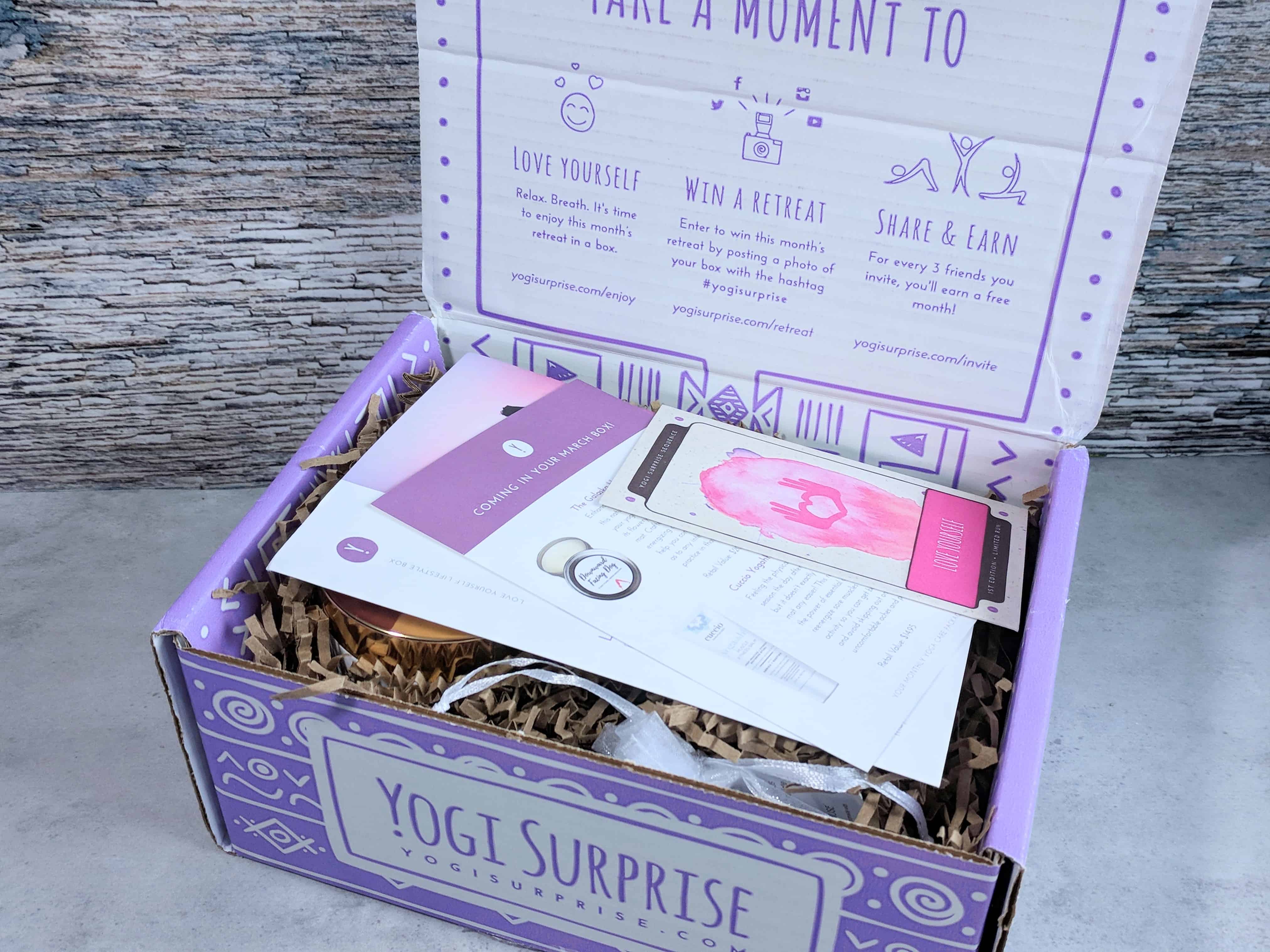 Yogi Surprise Subscription Box Review + Coupon - February 2018 - Hello ...