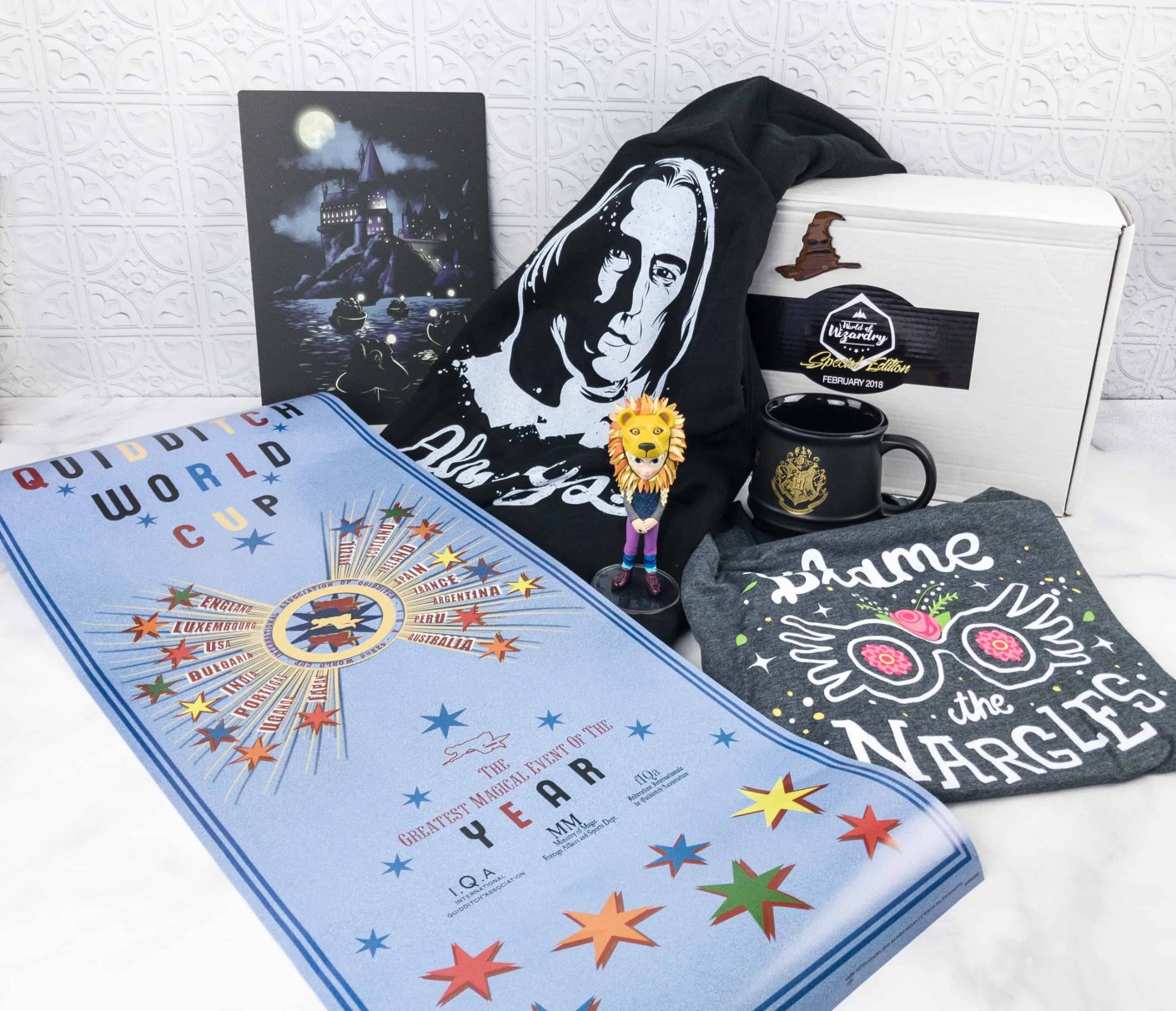 Geek Gear World of Wizardry February 2018 Special Edition Box Review ...