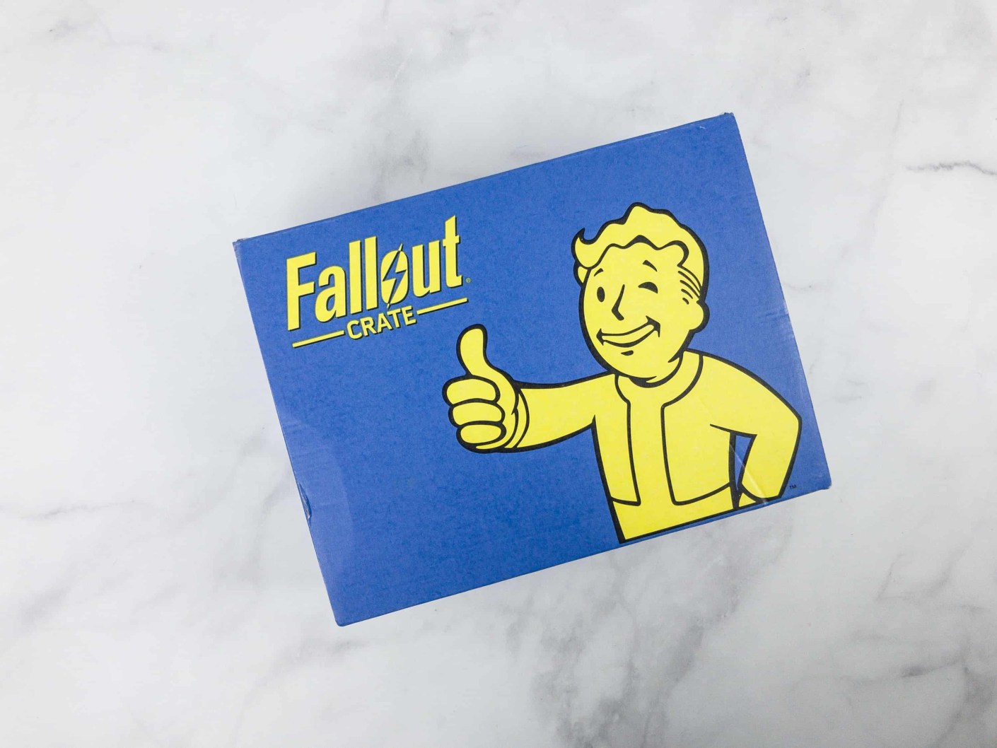 Loot Crate Fallout Crate February 2018 Review + Coupon - Hello Subscription