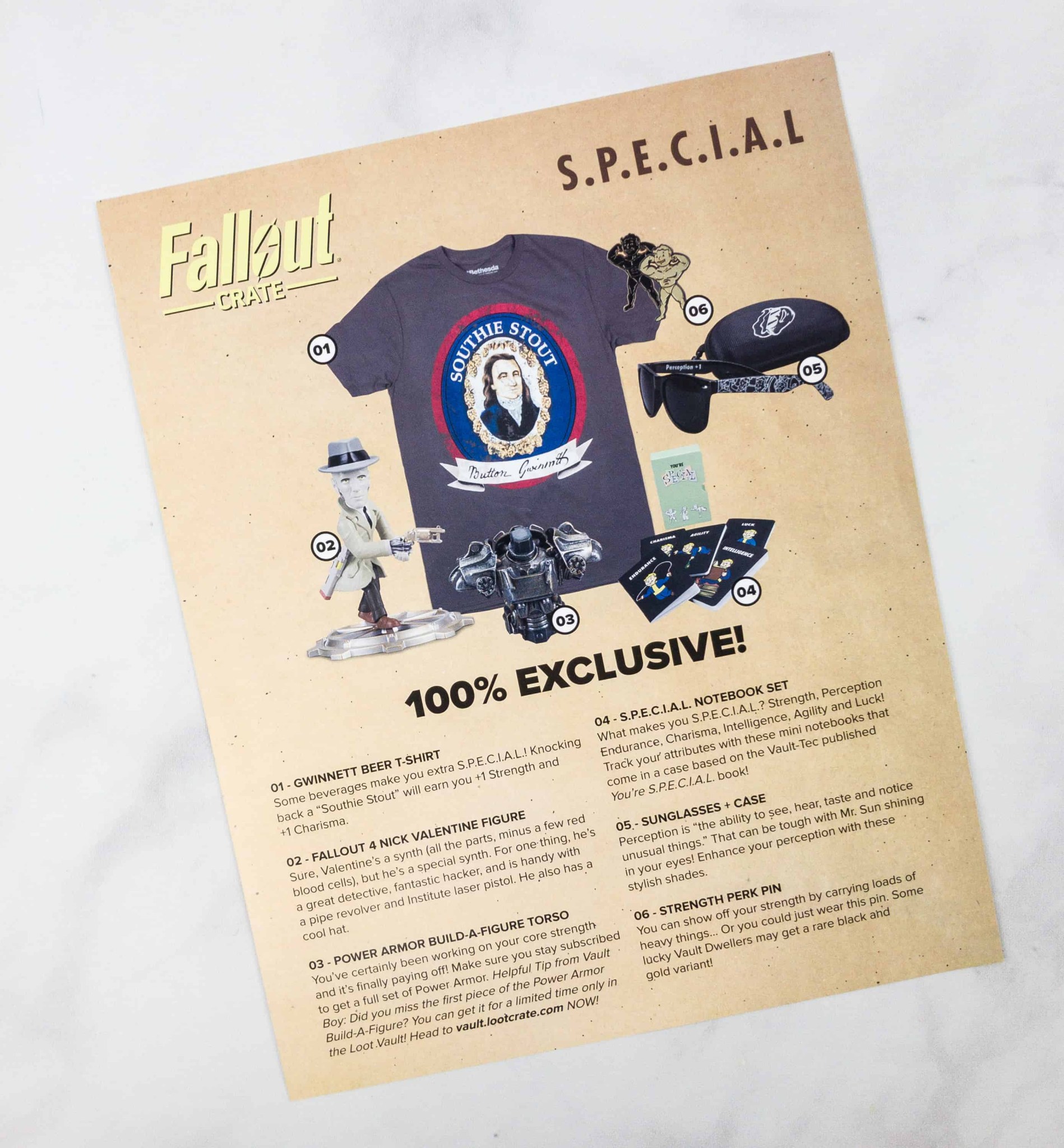 Loot Crate Fallout Crate February 2018 Review + Coupon - Hello Subscription