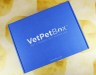 VetPet Box Young Kitten Welcome Box Subscription Box Review - Hello ...