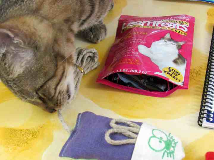 VetPet Box Young Kitten Welcome Box Subscription Box Review - hello ...