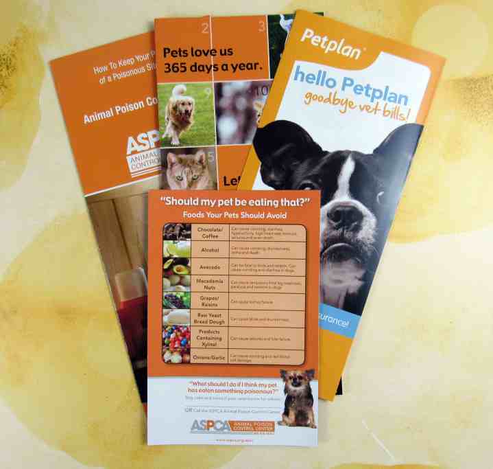 VetPet Box Young Kitten Welcome Box Subscription Box Review - hello ...