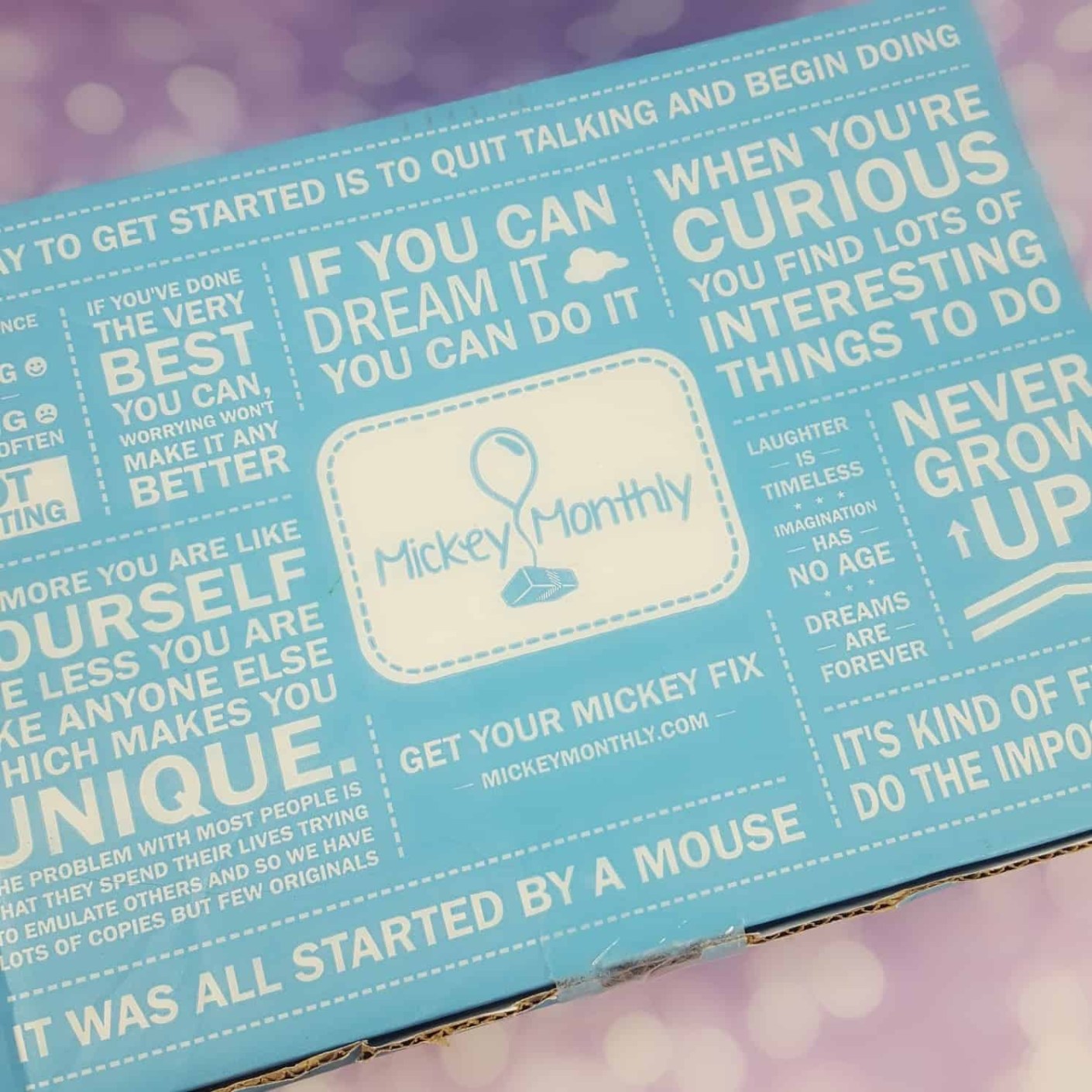 Mickey Monthly Subscription Box Review + Coupon - February 2018 - Hello ...
